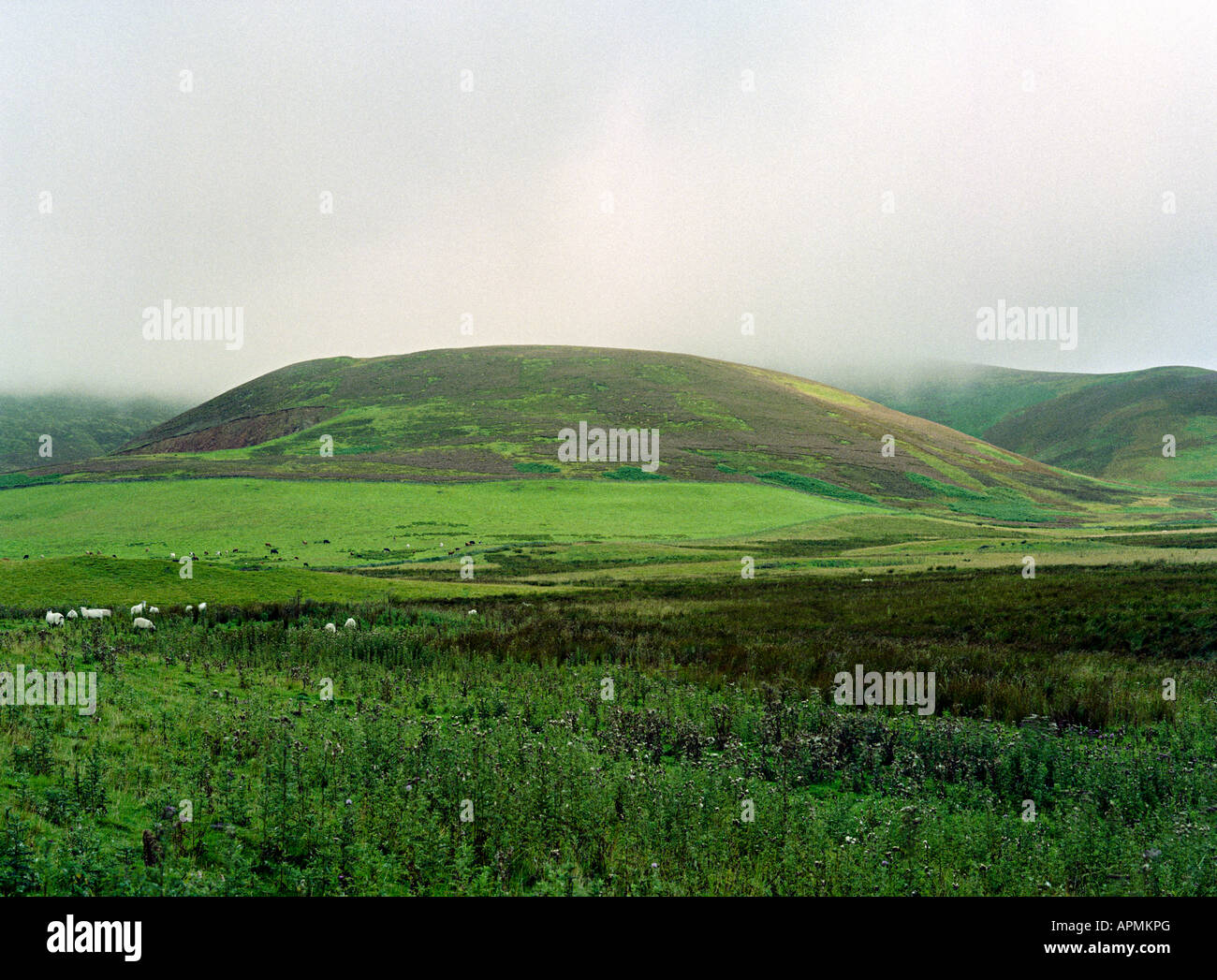 images of hills around the borders and the pentland hills Stock Photo ...