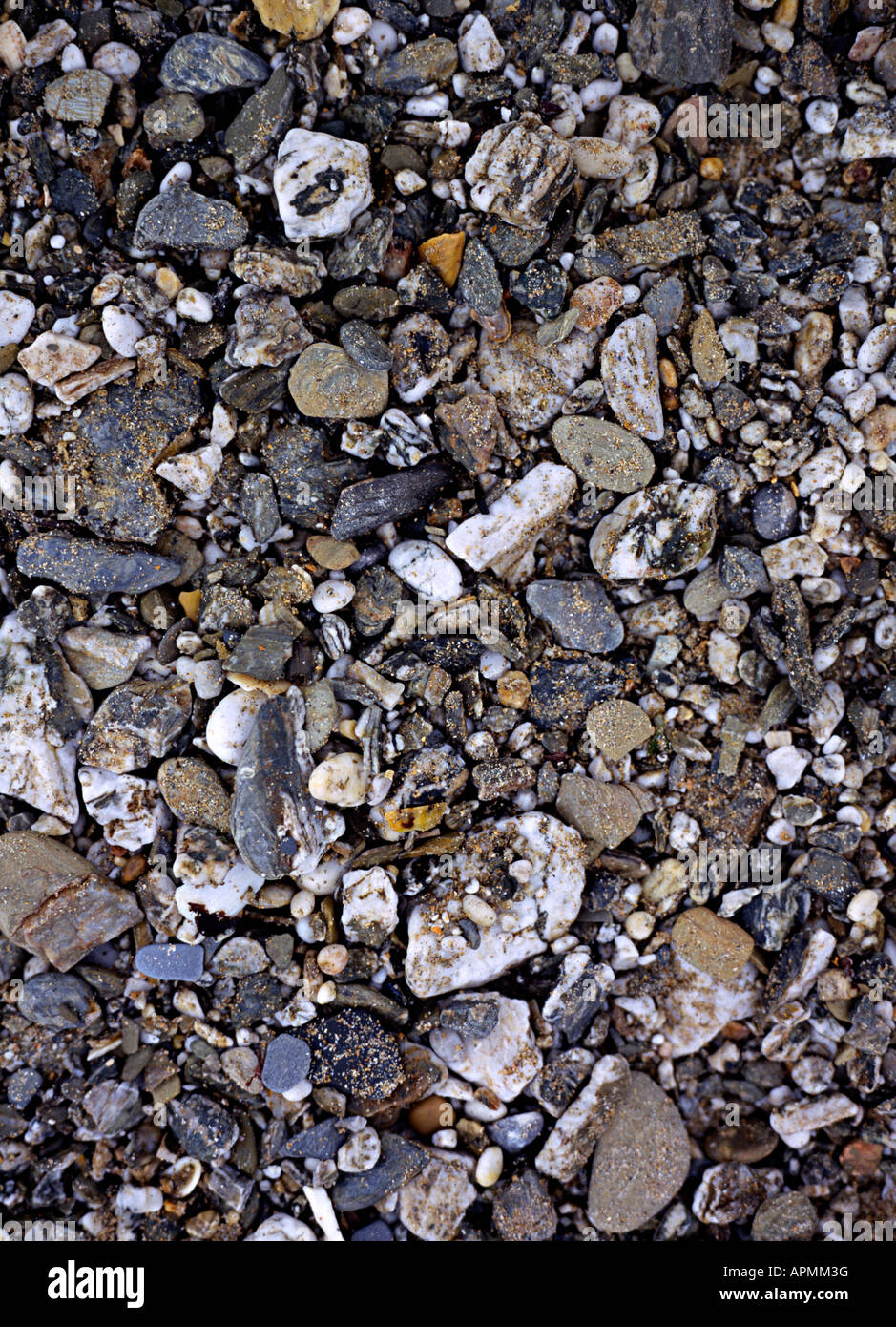 a shingle beach in close up detail Stock Photo - Alamy