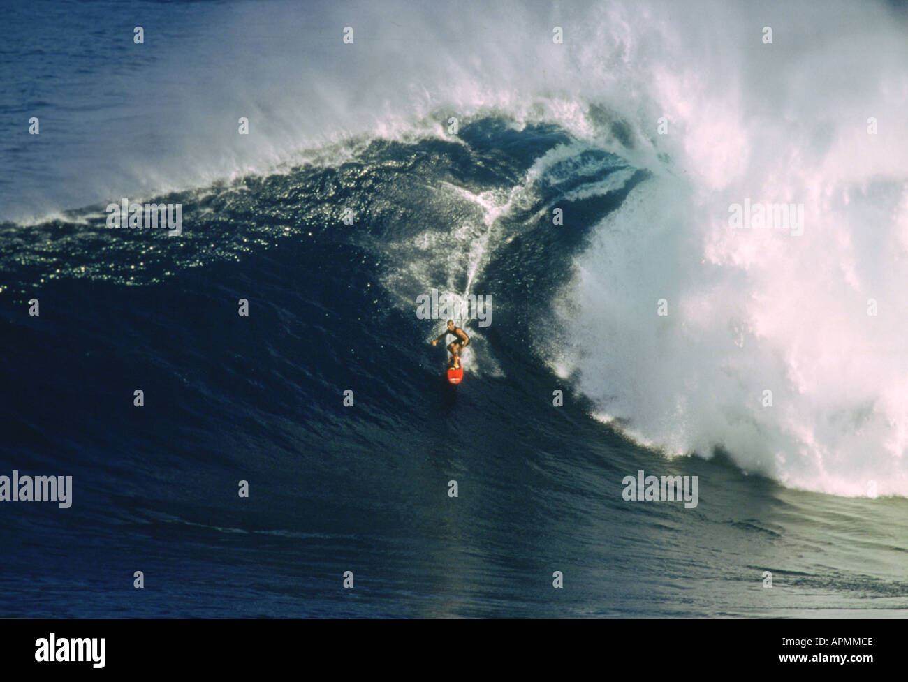 BIG WAVE SURFING ACTION MAUI JAWS HAWAII Stock Photo - Alamy