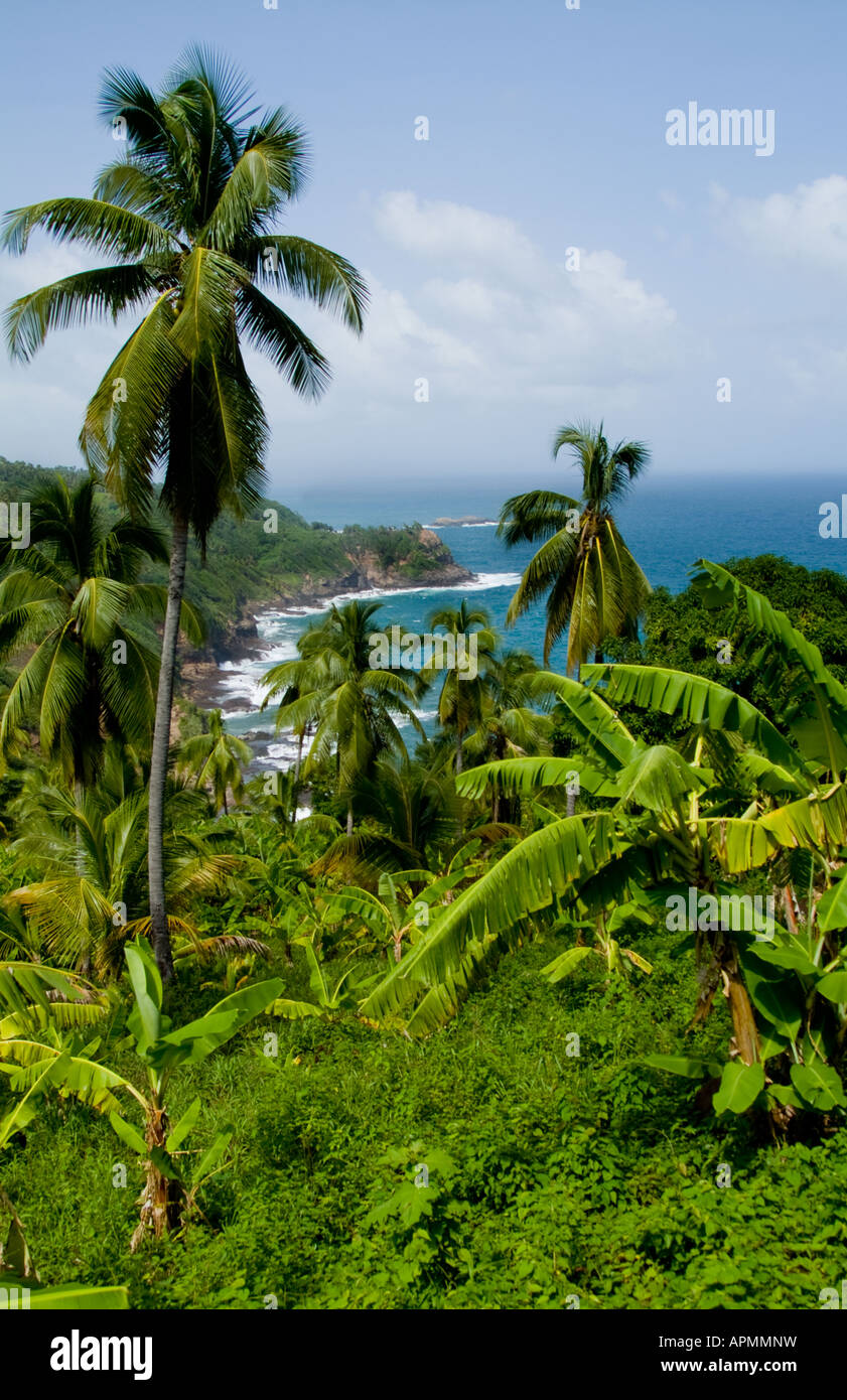 Dominica aerial hi-res stock photography and images - Alamy