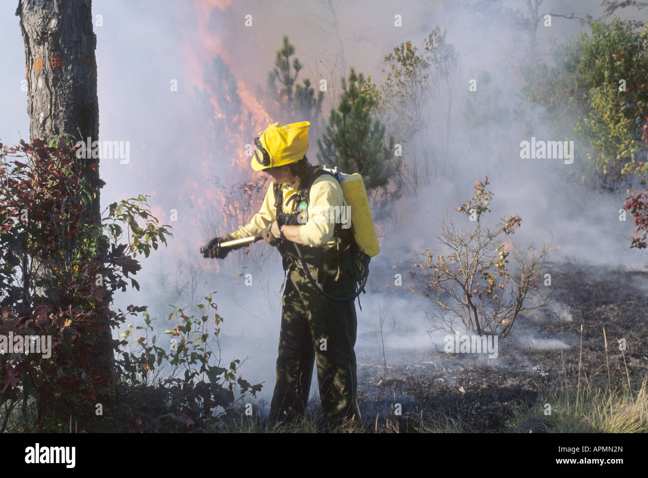 Forest Firefighter helps suppress fire Stock Photo - Alamy