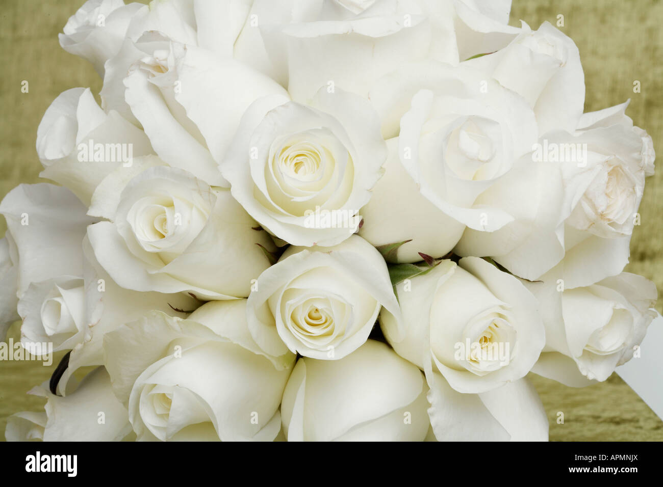 Bunch of white roses (close-up Stock Photo - Alamy