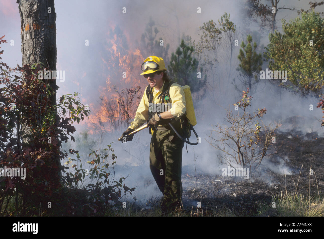Forest Firefighter helps suppress fire Stock Photo - Alamy