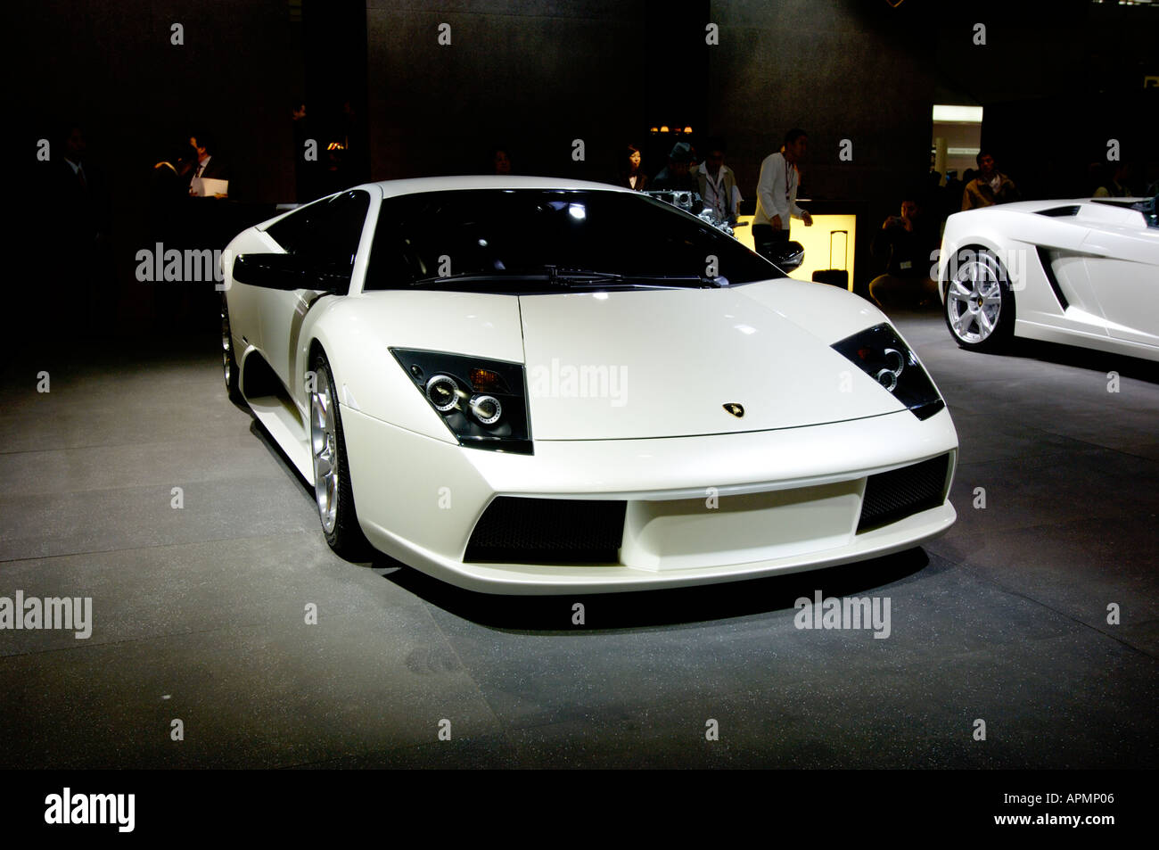 White Lamborghini Murcielago