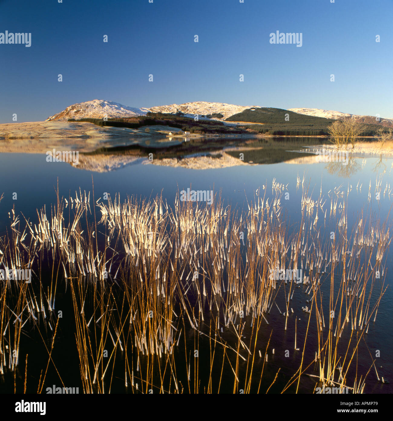 A scenic Scottish winter landscape Clatteringshaws Loch Galloway ...
