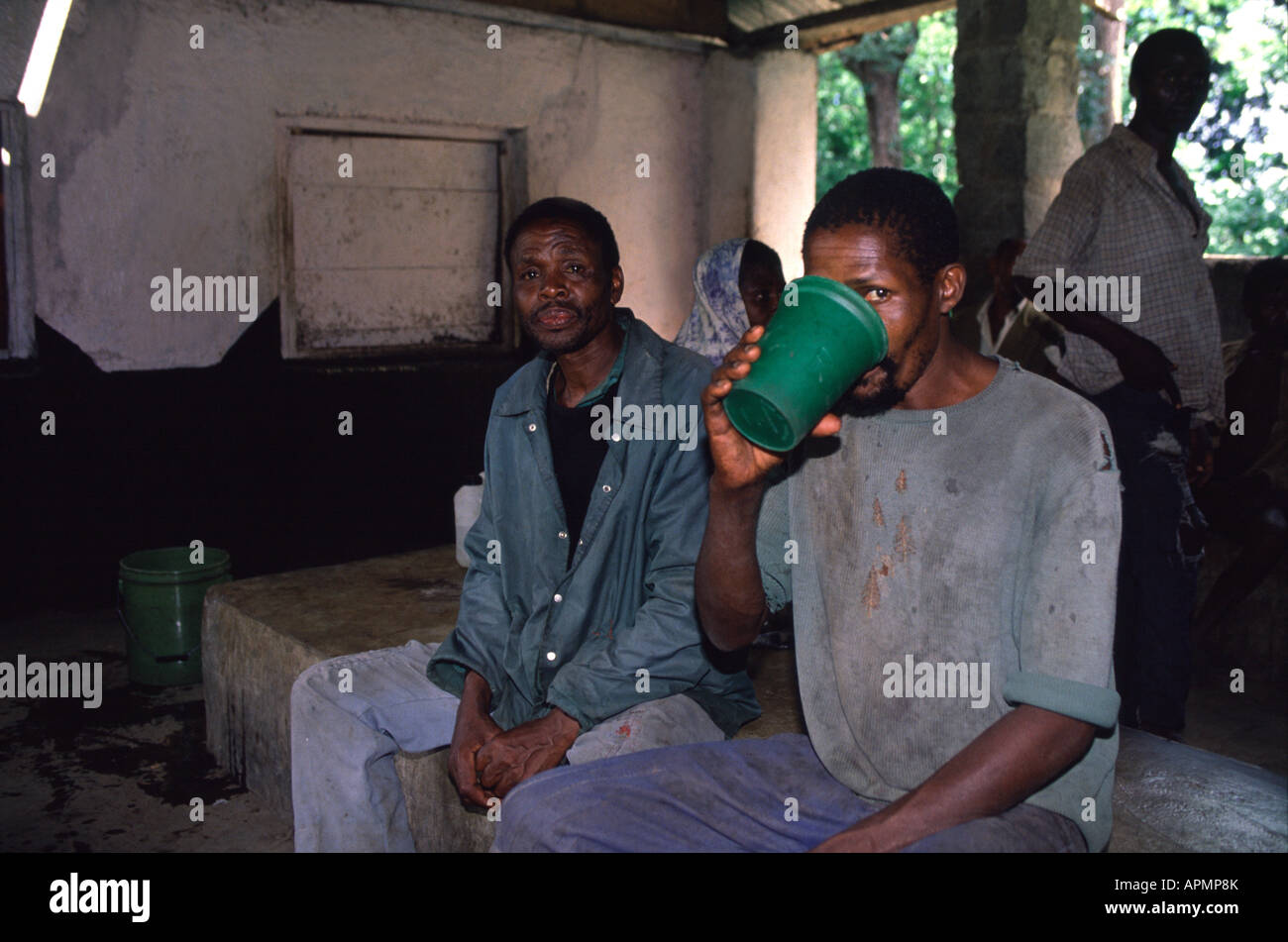 Pombe High Resolution Stock Photography and Images - Alamy