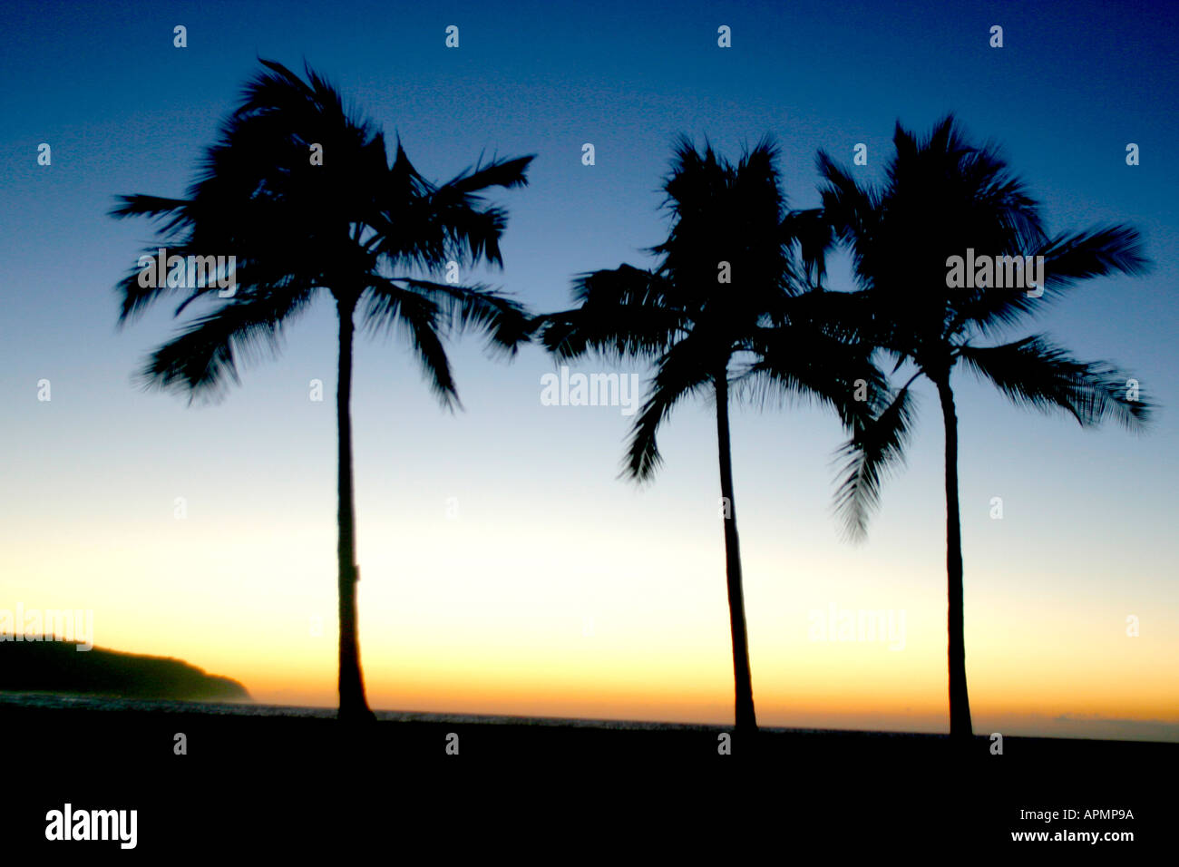 Palm trees sunset tropical hi-res stock photography and images - Alamy