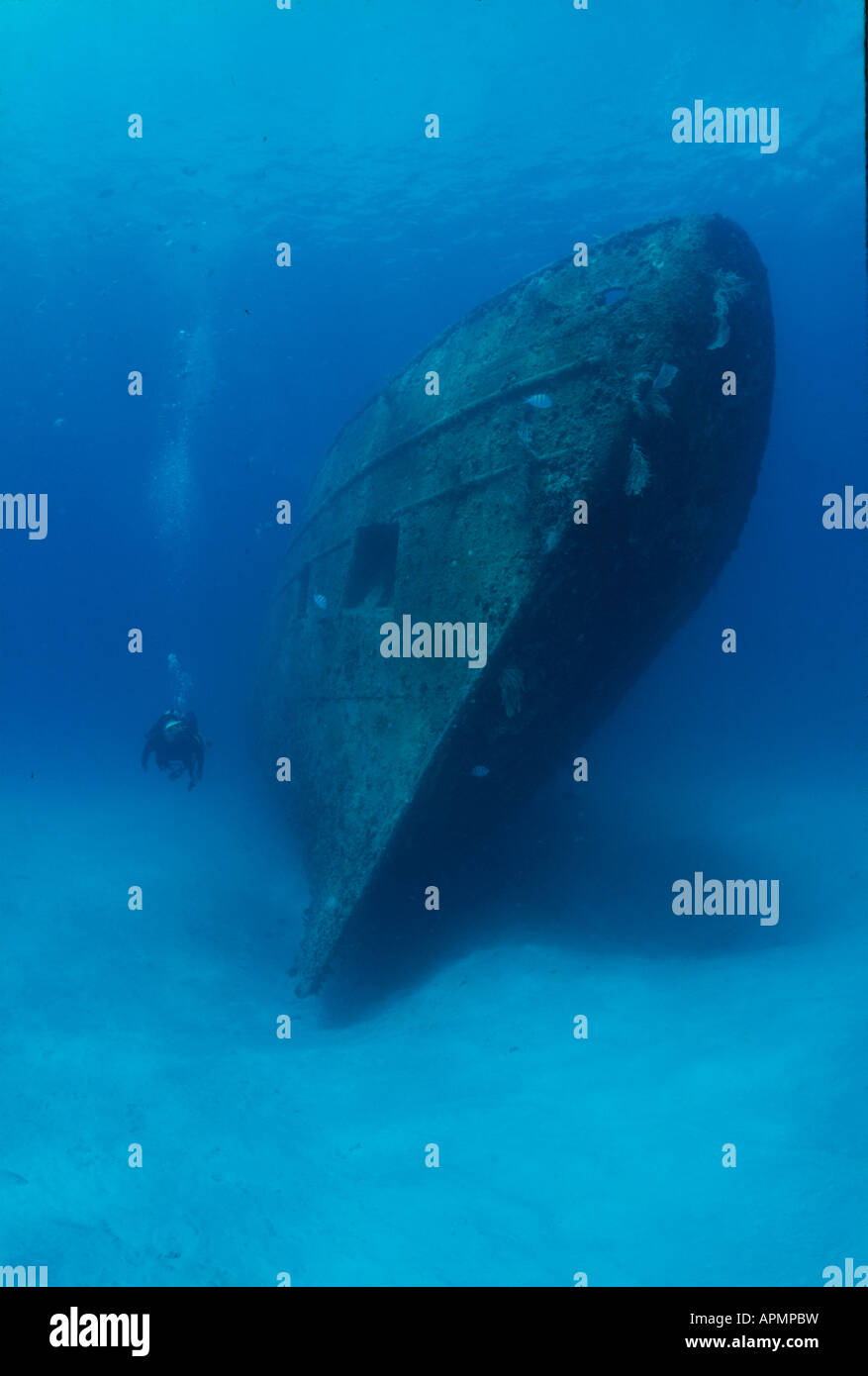 Barbados reef fish hi-res stock photography and images - Alamy