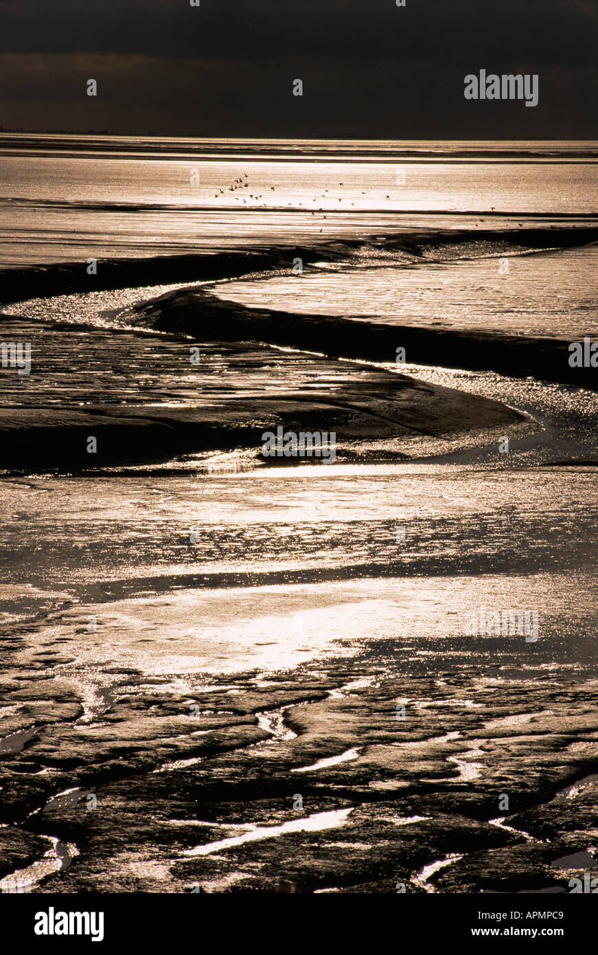 Inter tidal mudflats and Wolferton Creek at The Wash estuary Snettisham ...