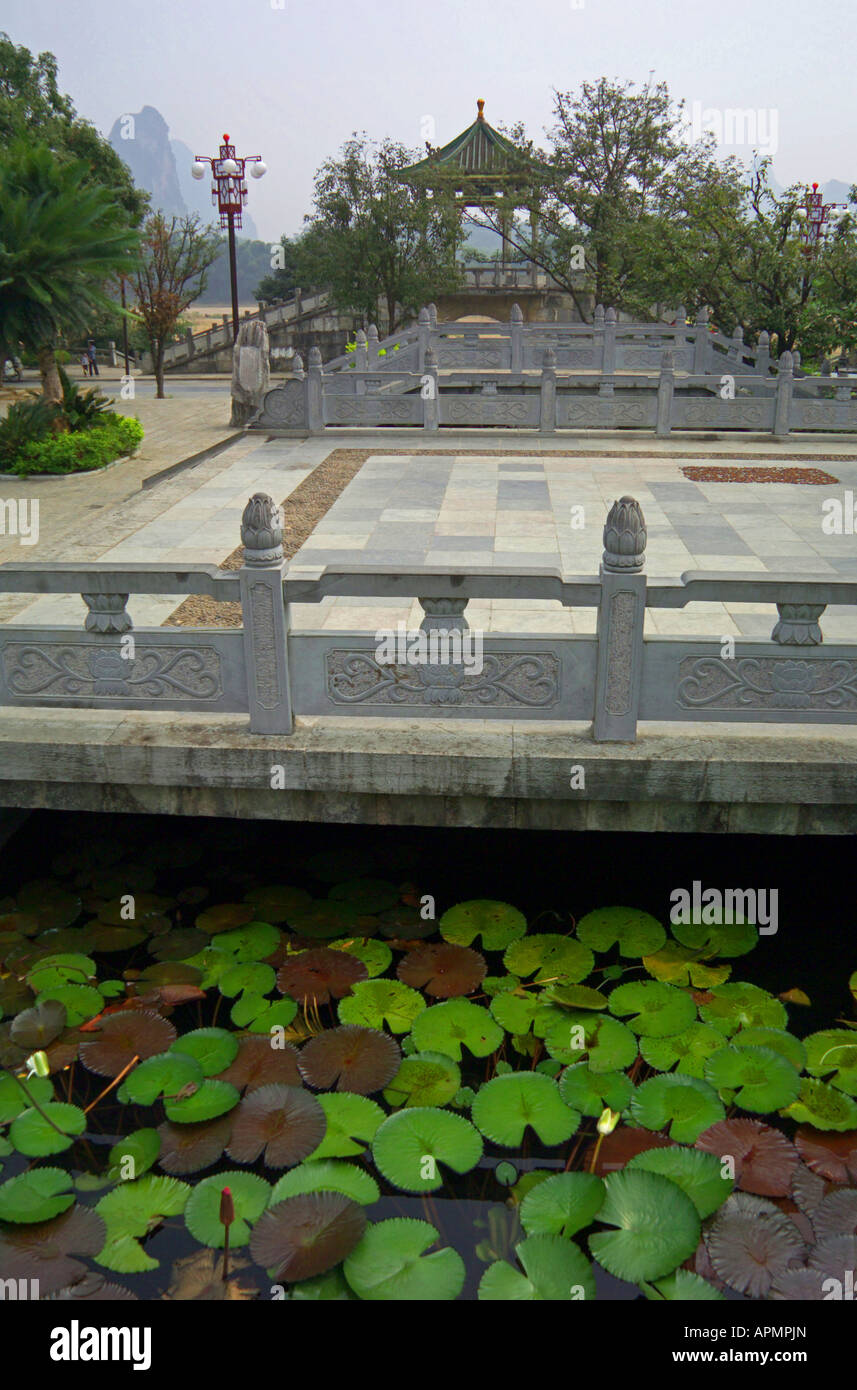 Chinese lilies hi-res stock photography and images - Alamy