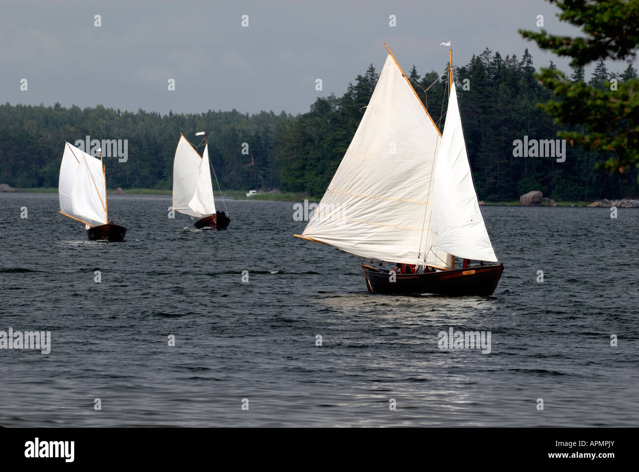 A small ship race, a traditional wooden sailing boats race in the ...