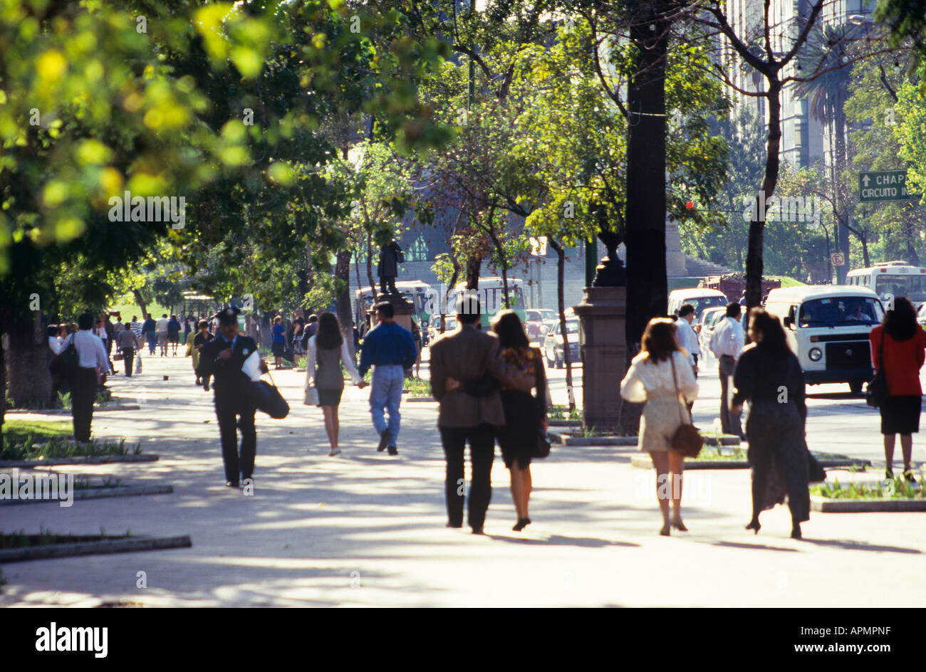 Pedestrians strolling in the dappled shade of the tall trees fringing ...