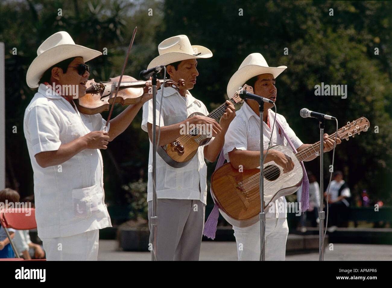 Three Panama hatted members of a Mexican folk group accompanying ...