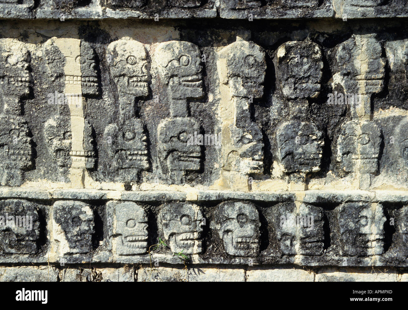 Heads Of Sacrificial Victims Stock Photos & Heads Of Sacrificial ...