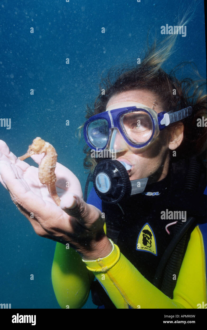 Barbados reef fish hi-res stock photography and images - Alamy