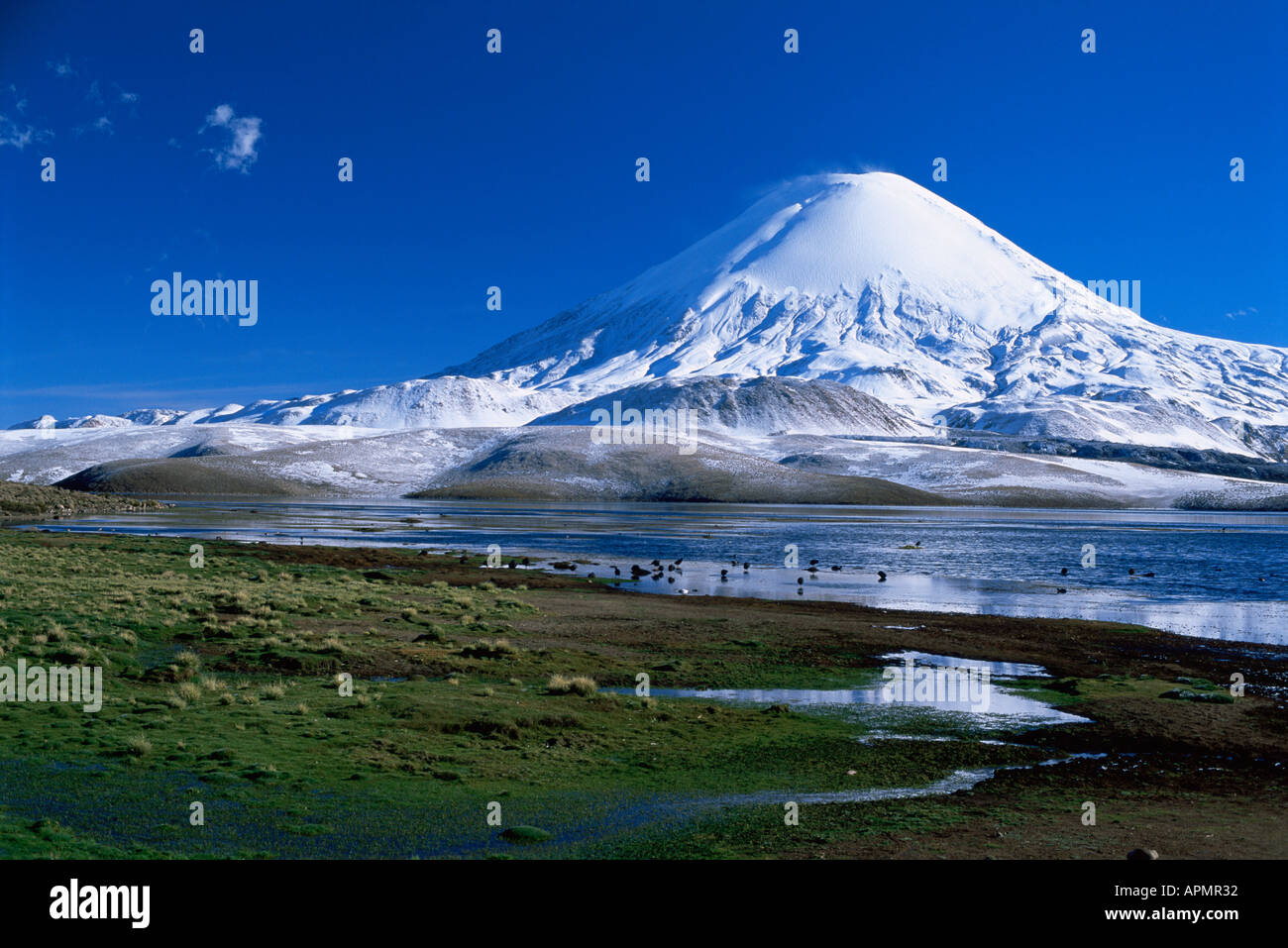 Lago Chungará and Volcán Parinacota 6342m in Lauca National Park Chile ...