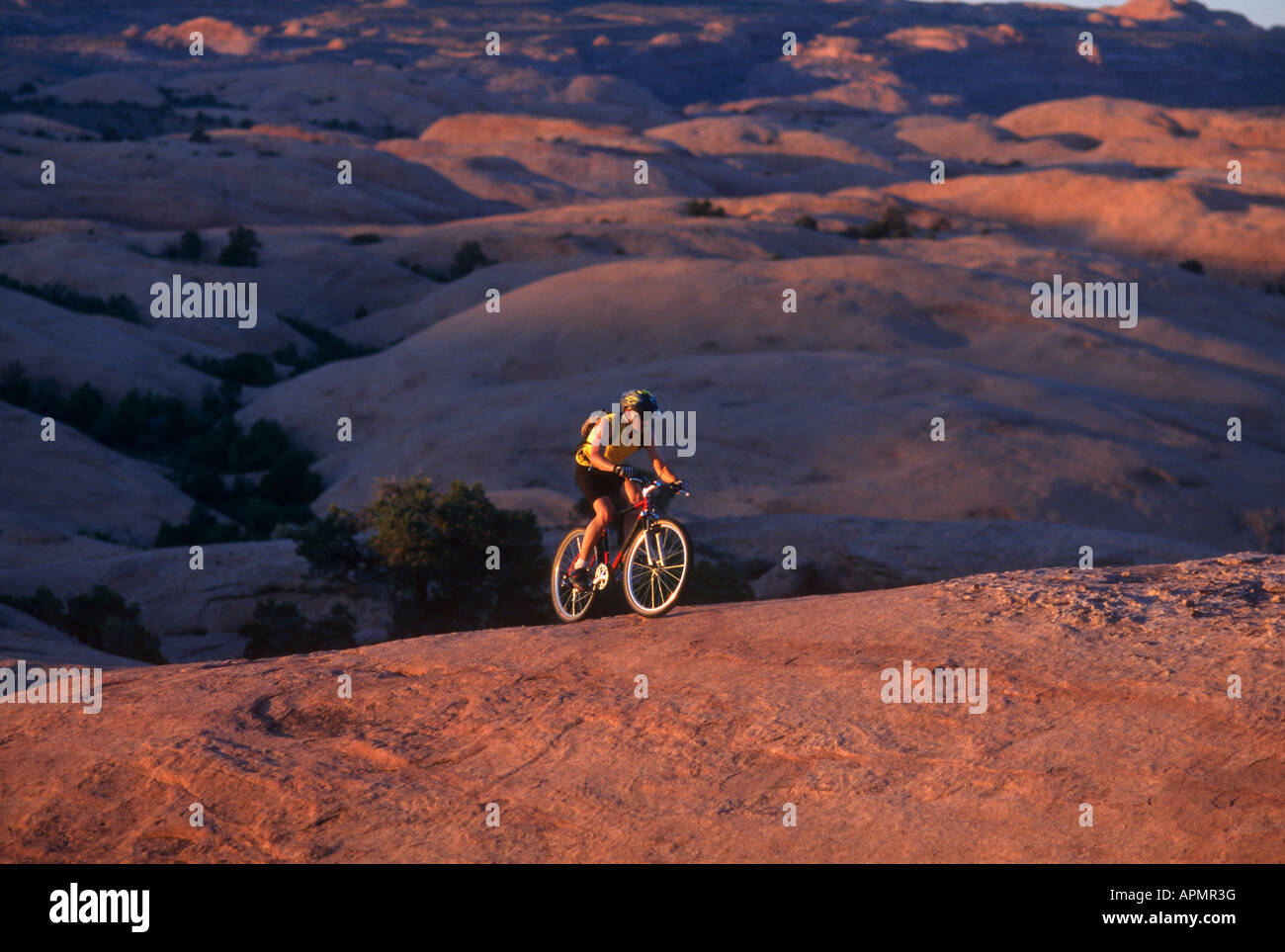 Biker at Slickrock Mountain bike trail at Moab Utah Stock Photo - Alamy