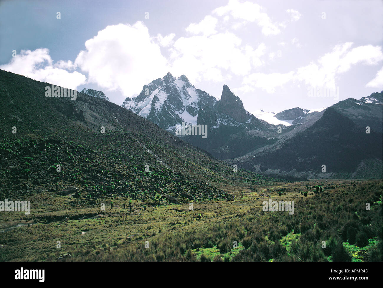 Teleki valley hi-res stock photography and images - Alamy