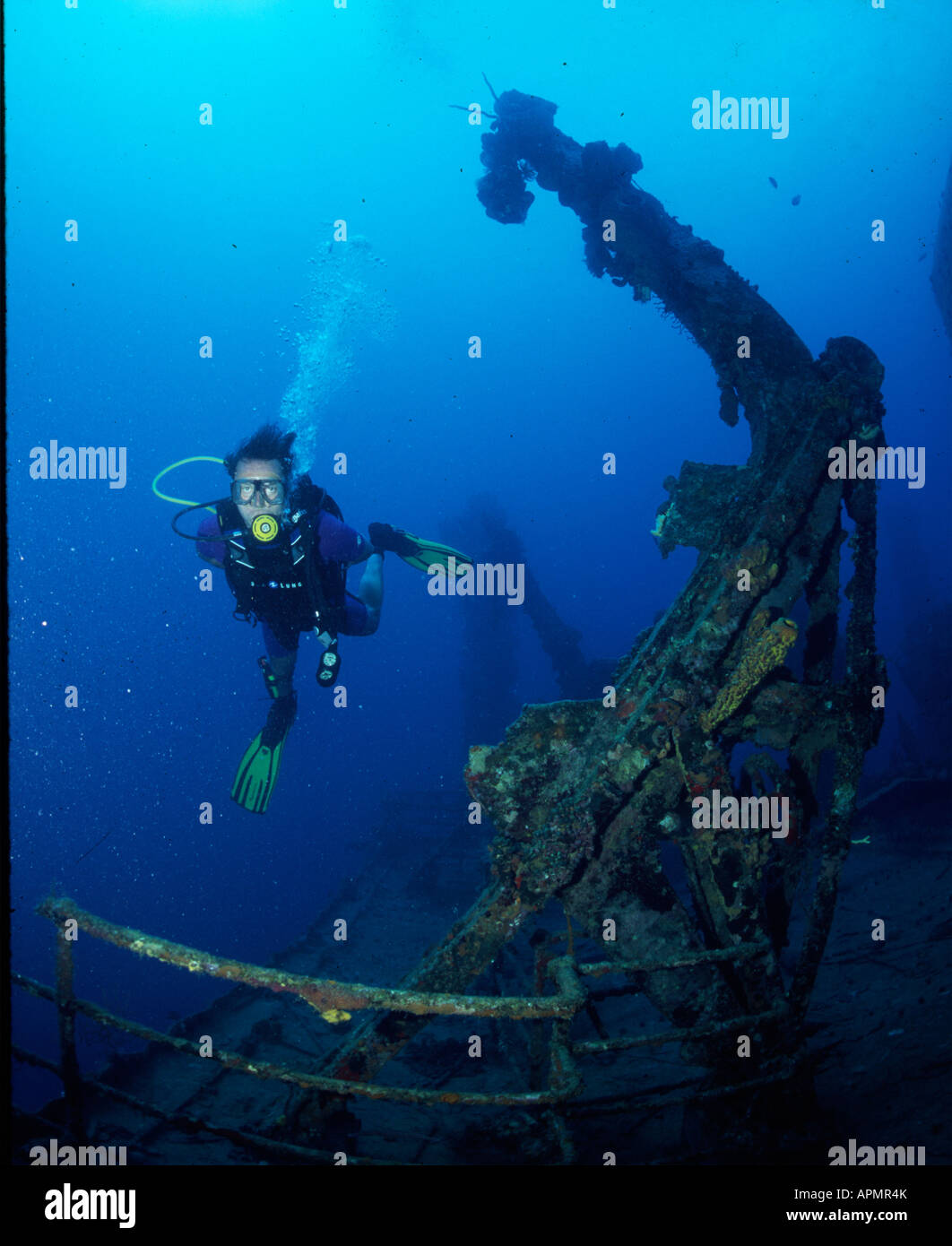 divers enjoying reef diving in Barbados Stock Photo - Alamy