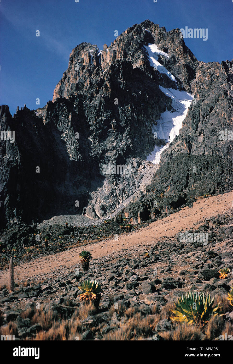 Batian Mount Kenya Kenya East Africa Stock Photo - Alamy