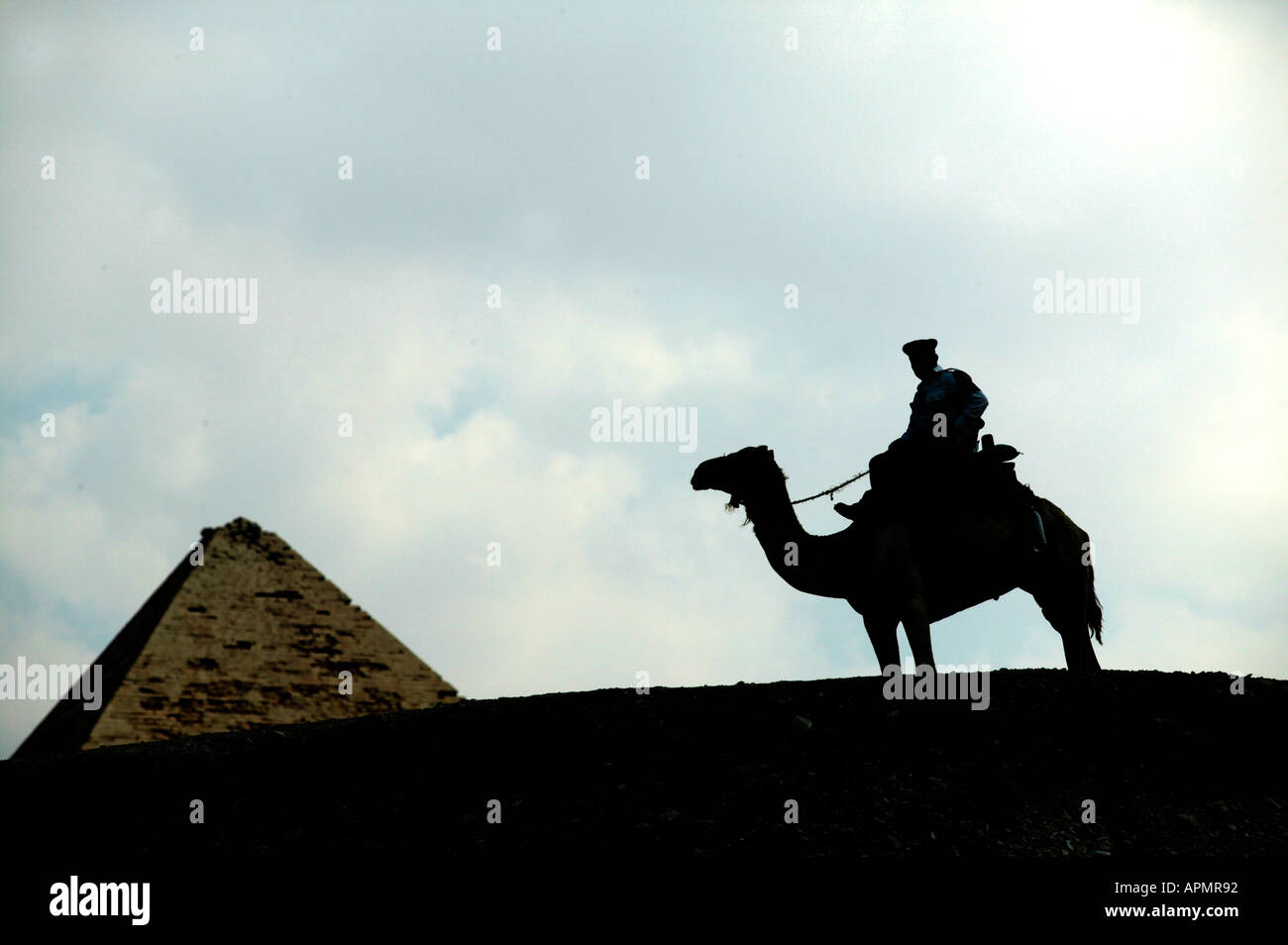 Backlit camel rider and pyramid, Egypt Stock Photo - Alamy
