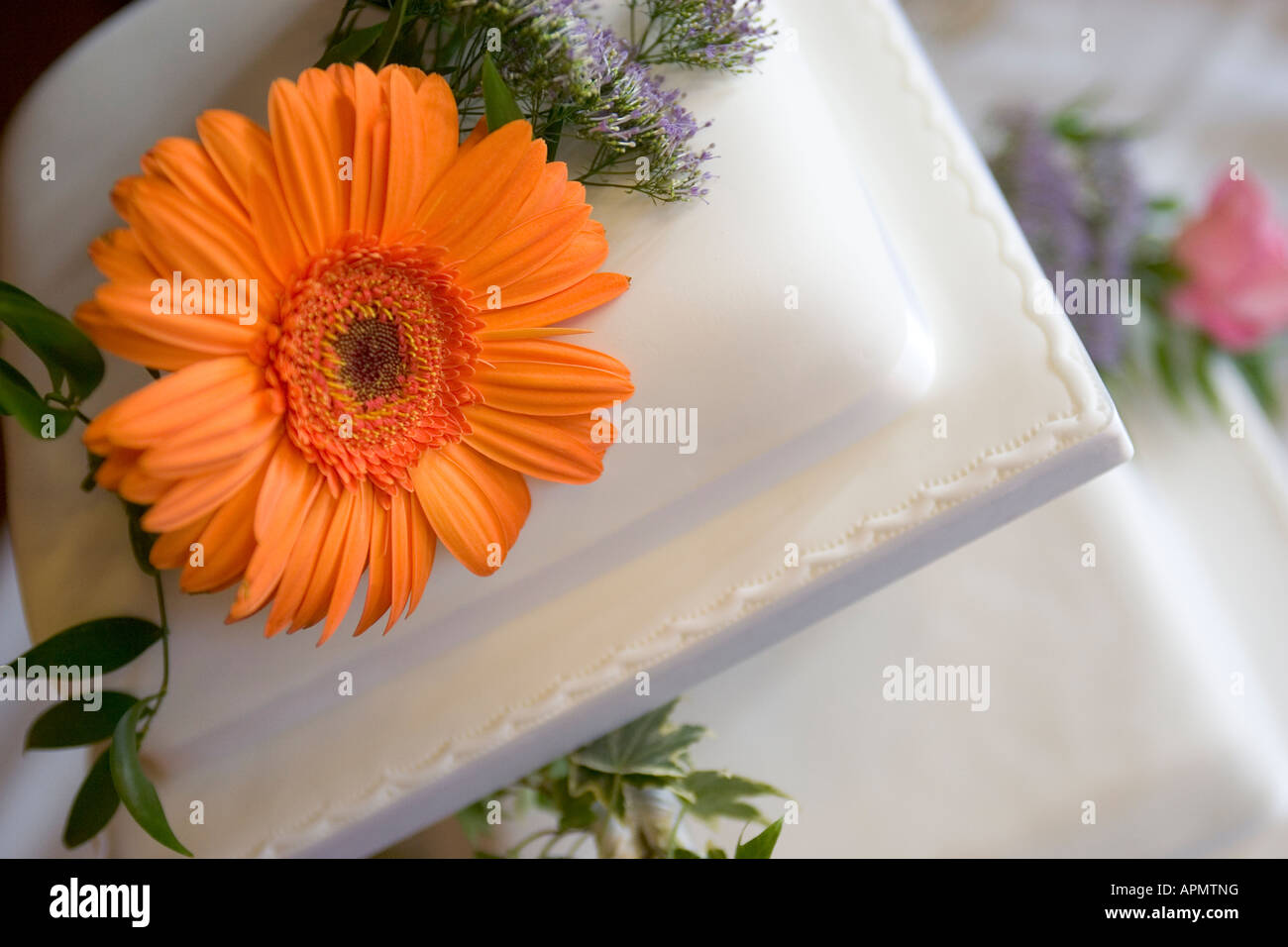 Vicar cake hi-res stock photography and images - Alamy