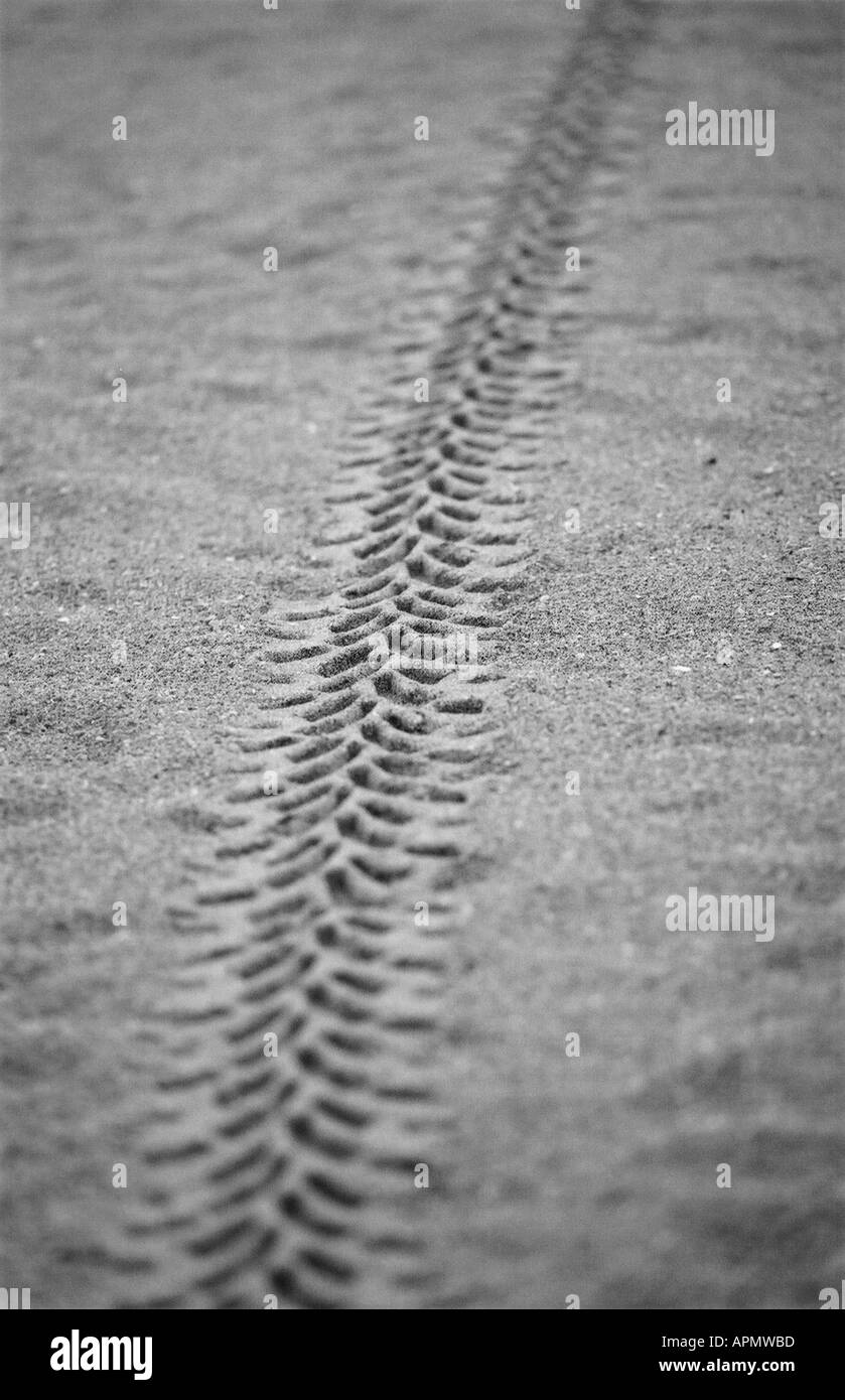 Track in the sand Stock Photo - Alamy