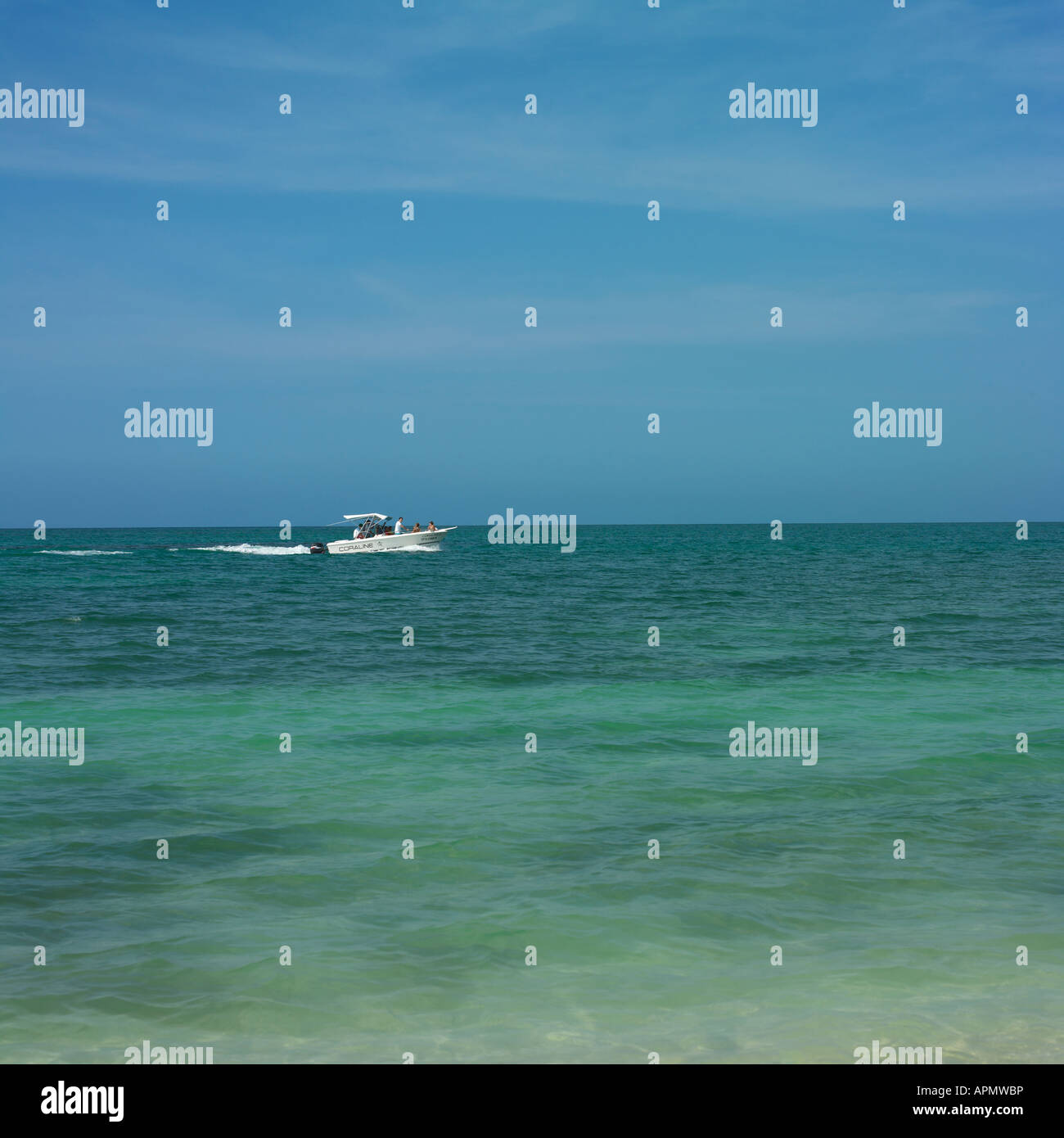 Speed boat driving fast across the water's horizon Stock Photo - Alamy