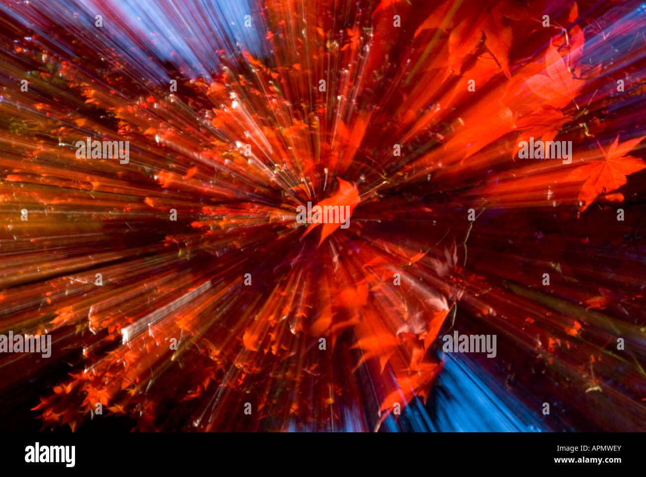 Seasons autumn colour fall color hi-res stock photography and images ...