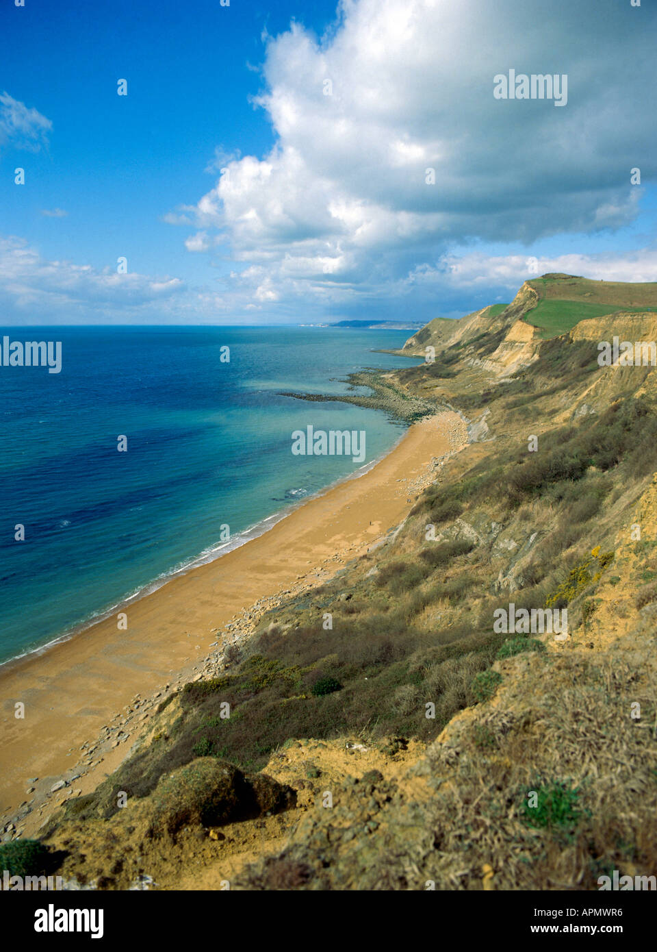 Golden Cap Estate High Resolution Stock Photography and Images - Alamy