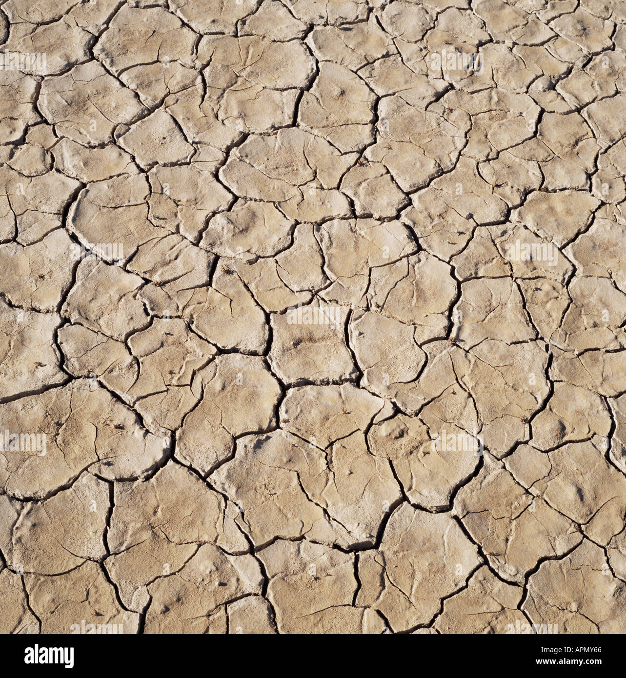 Dry cracked ground Stock Photo - Alamy