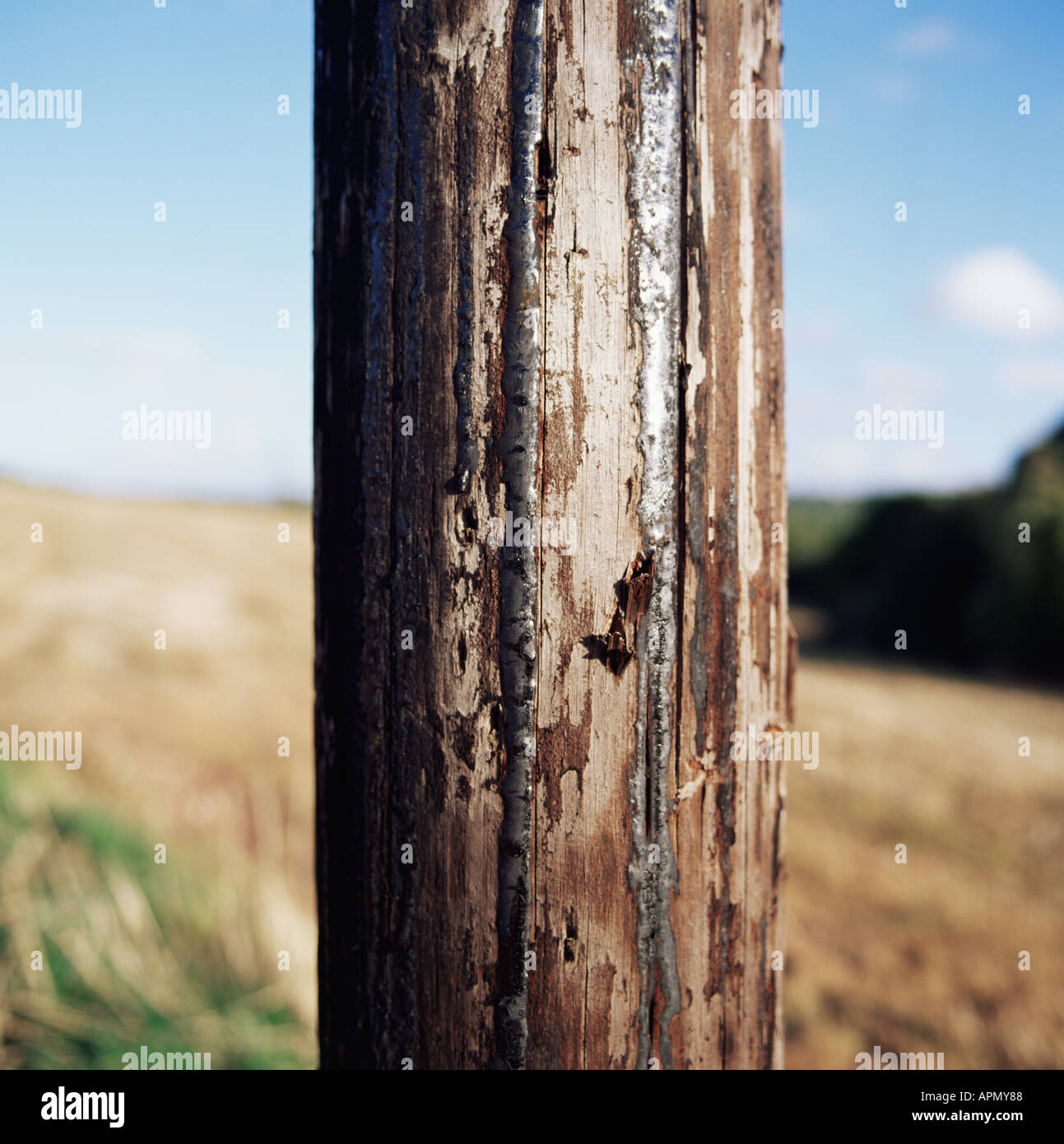 Ree part hi-res stock photography and images - Alamy