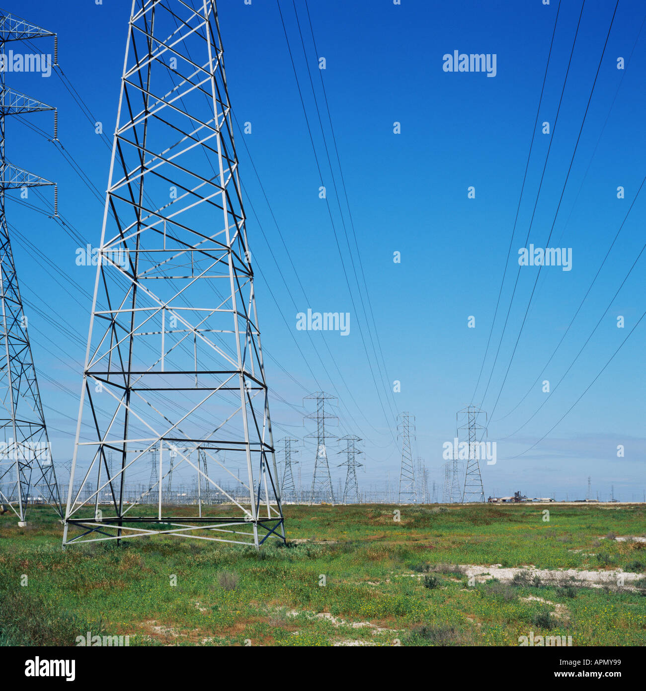 Pylons in a field Stock Photo - Alamy