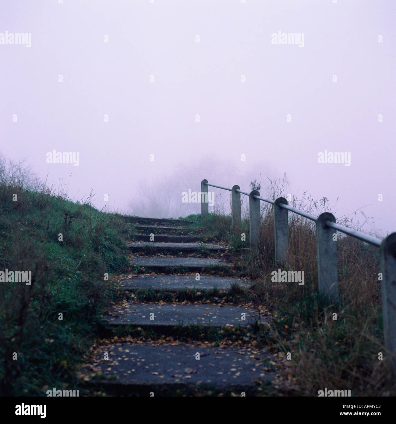 Path up a hill Stock Photo - Alamy