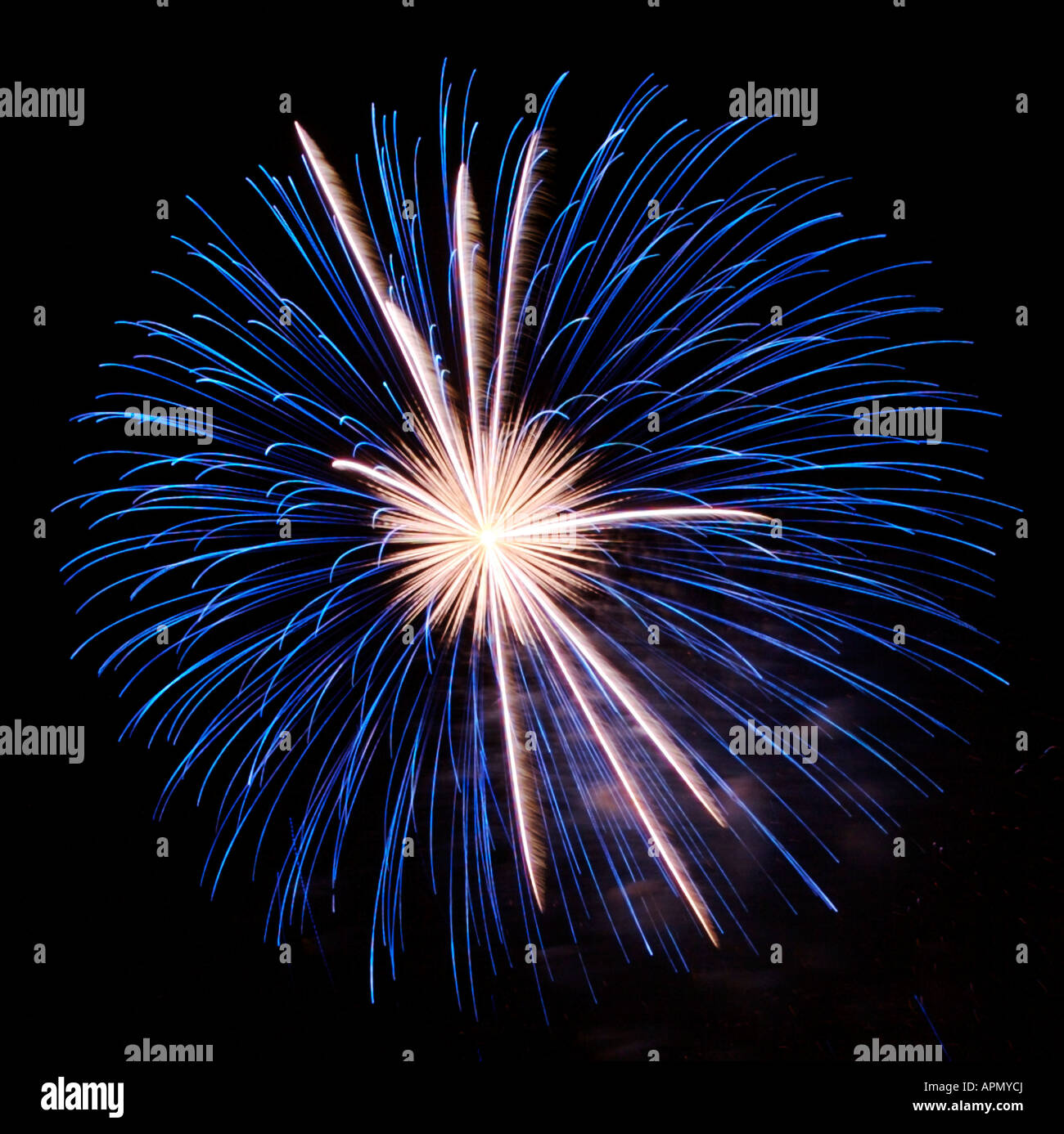 Fireworks during the Aquatica 2008 festival and Auckland Anniversary ...