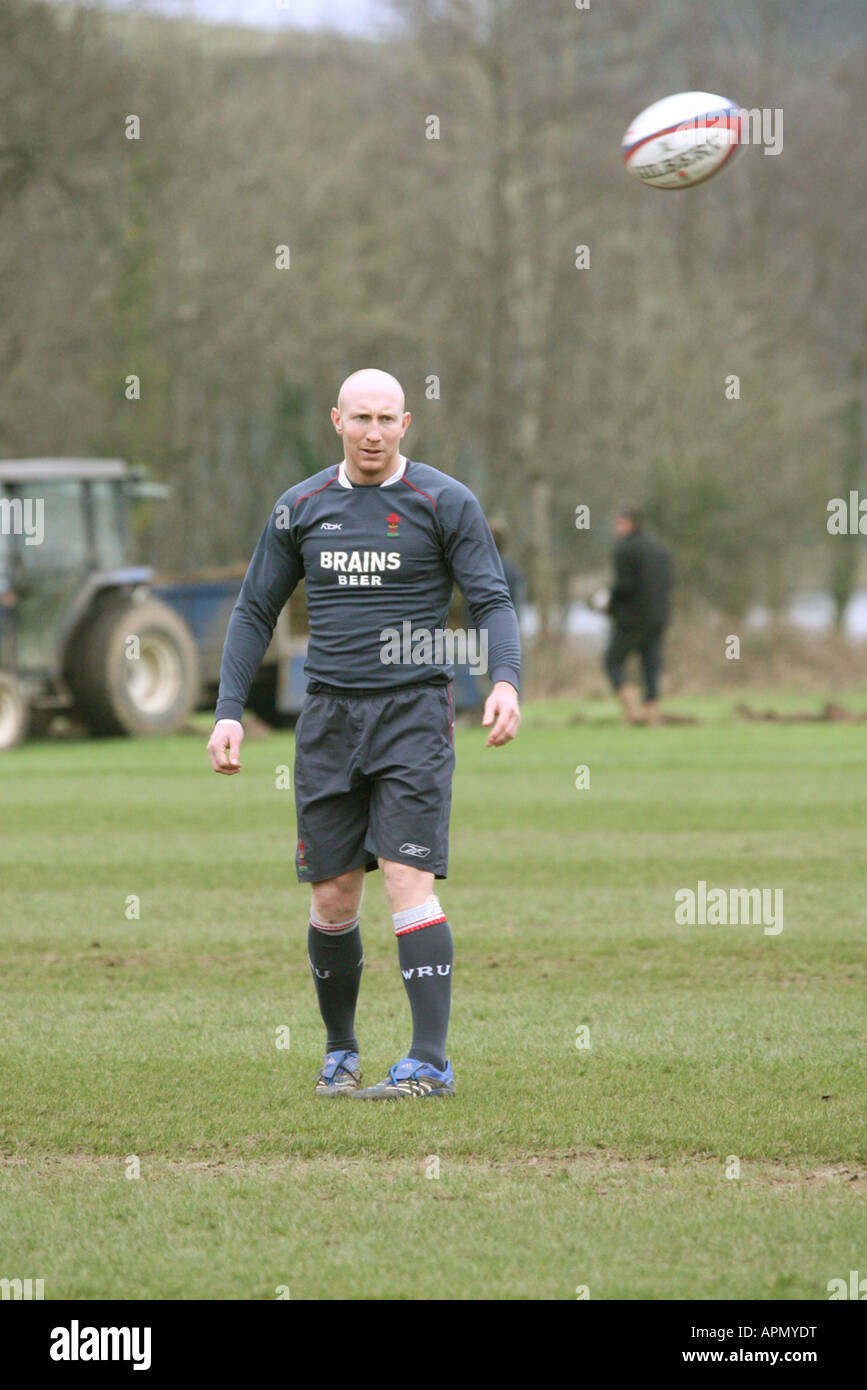 Welsh Rugby Union Training Ground Hensol Vale of Glamorgan South Wales ...