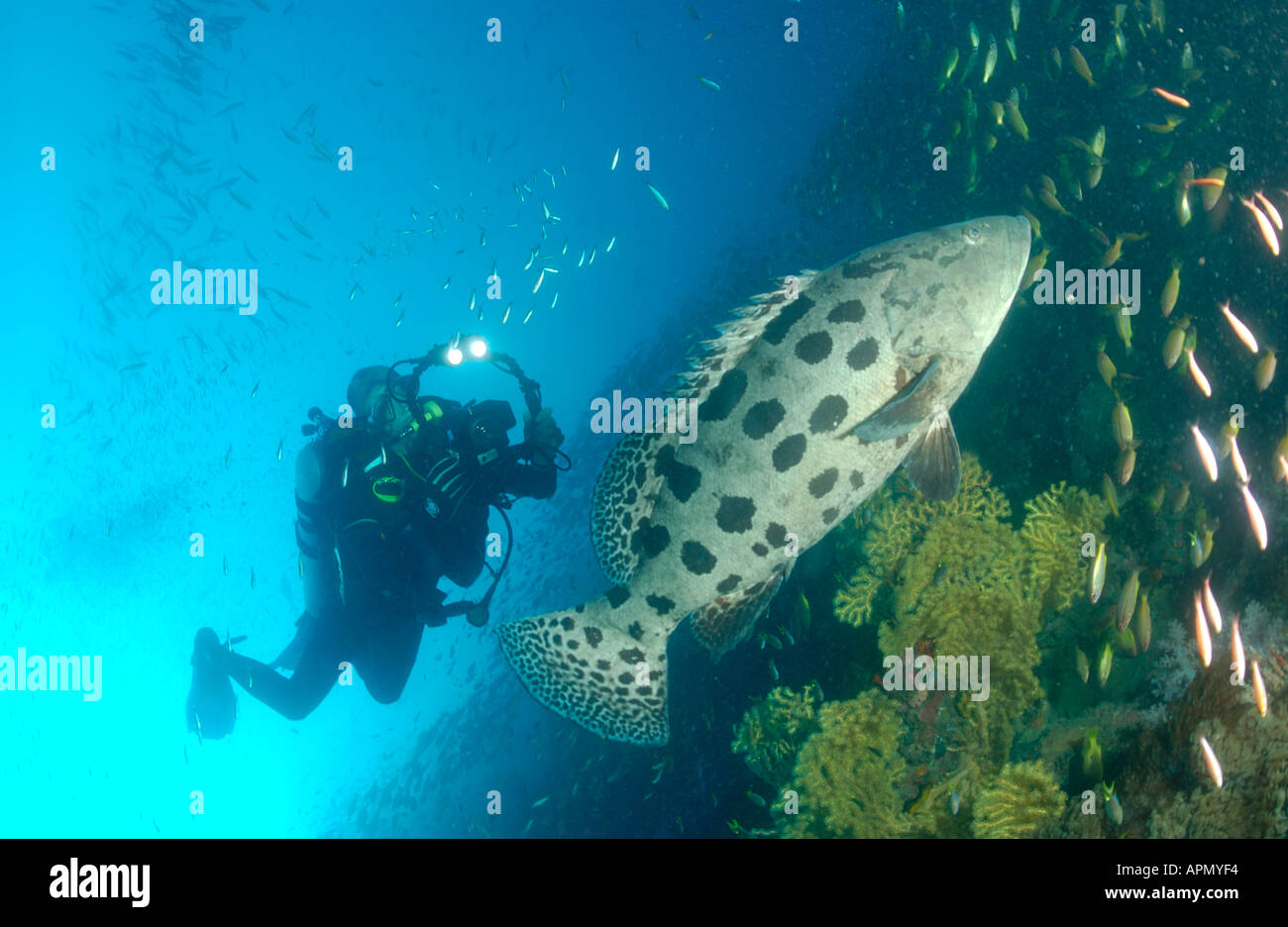 Diving location hi-res stock photography and images - Alamy