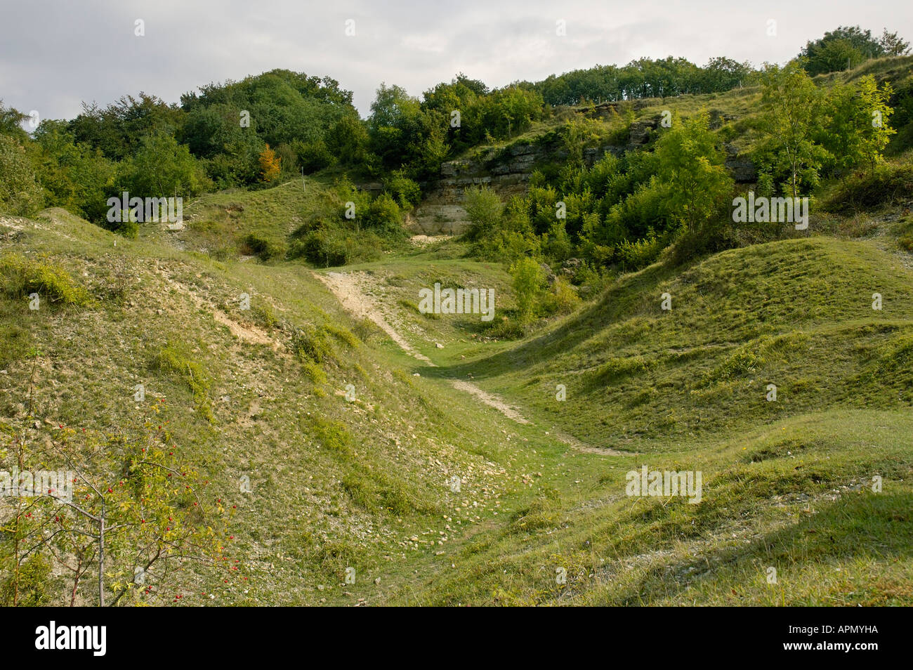 Disused Cotswold Limestone Quarry Stock Photo - Alamy