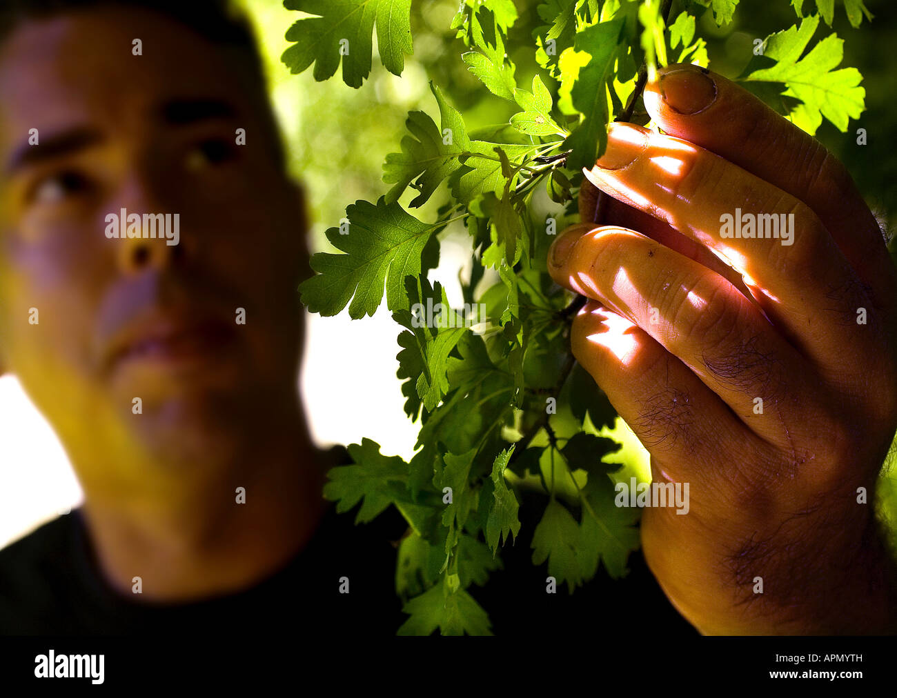 Hider High Resolution Stock Photography and Images - Alamy