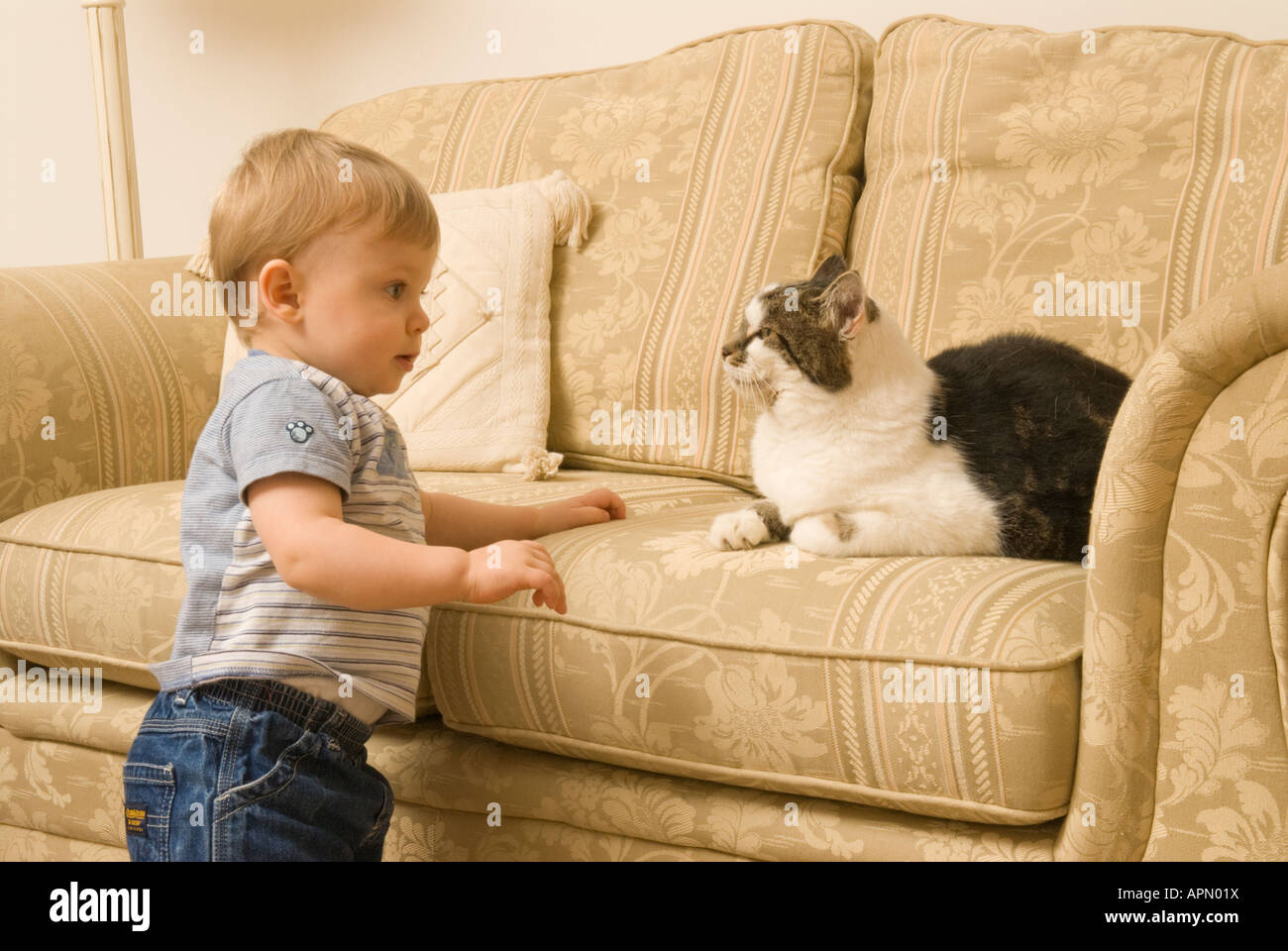 Baby boy eleven months old attracted to cat unsure whether to touch it ...