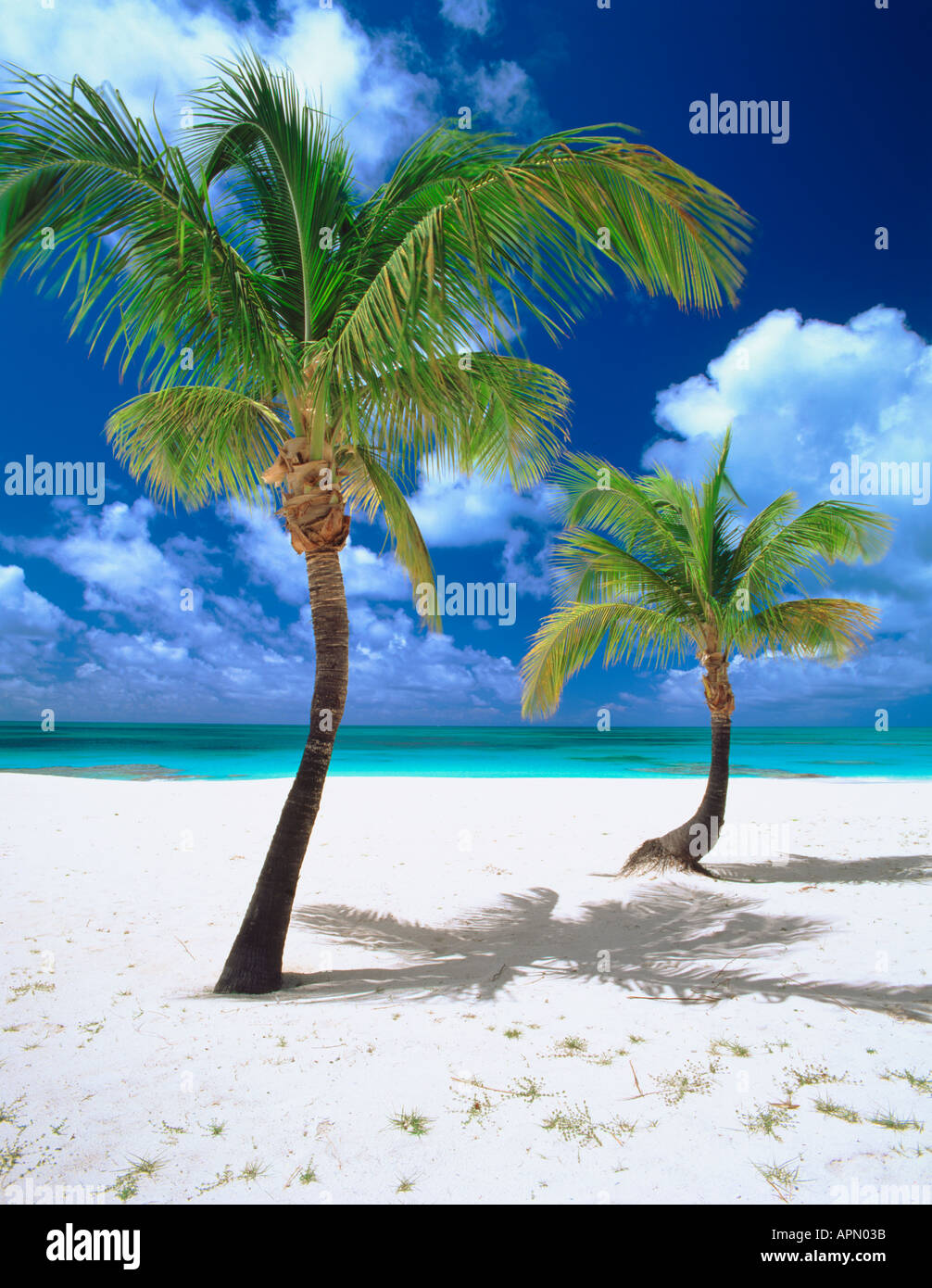 Coco point beach barbuda hi-res stock photography and images - Alamy