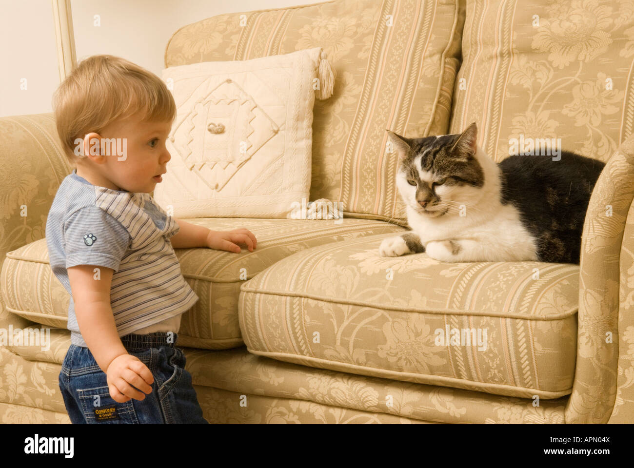 Baby boy eleven months old attracted to cat unsure whether to touch it ...