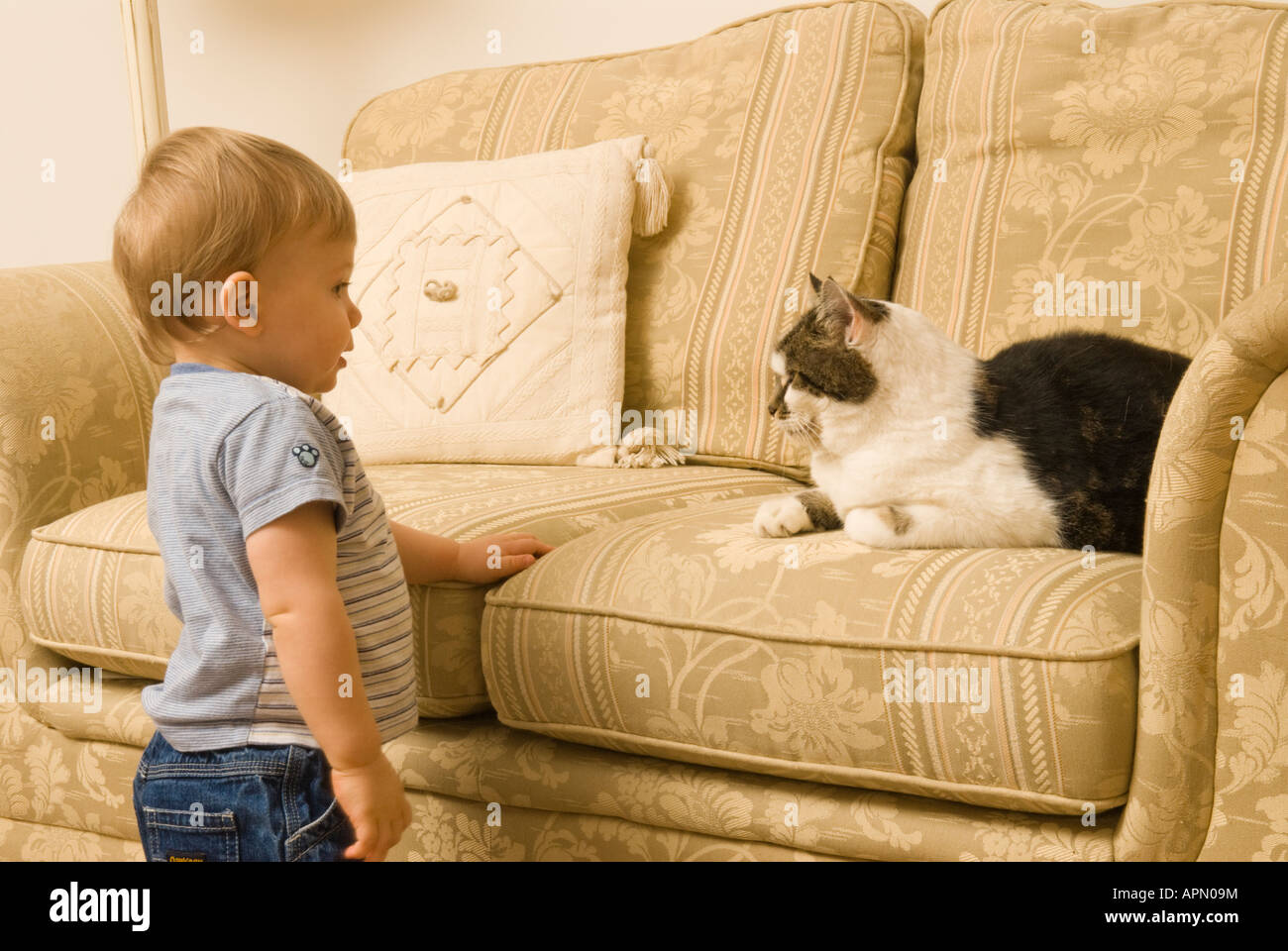 Baby boy eleven months old wary of pet cat unsure whether to touch it ...