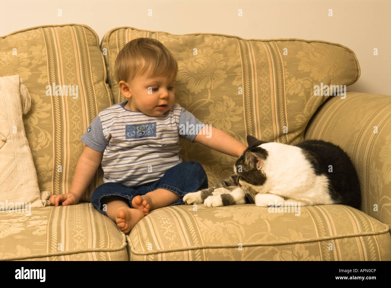 Baby boy eleven months old attracted to cat unsure whether to touch it ...