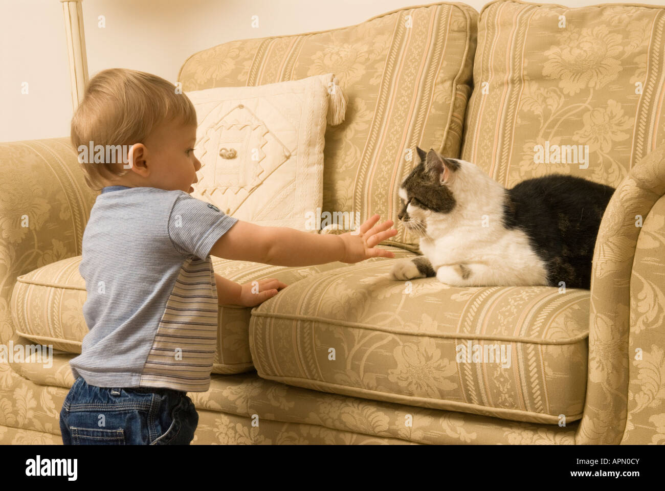 Baby boy eleven months old reaching out to cat unsure whether to touch ...