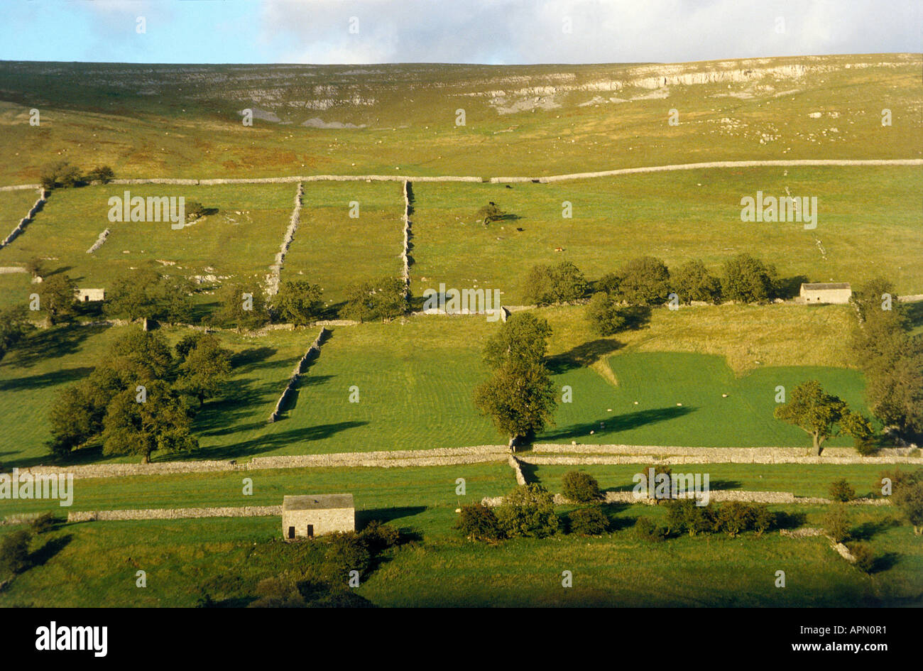 Dry stone walls edging fields on the side of the green hills of ...