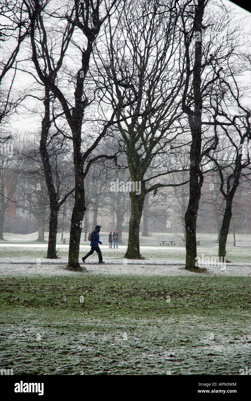 Walking through snow storm hi-res stock photography and images - Alamy