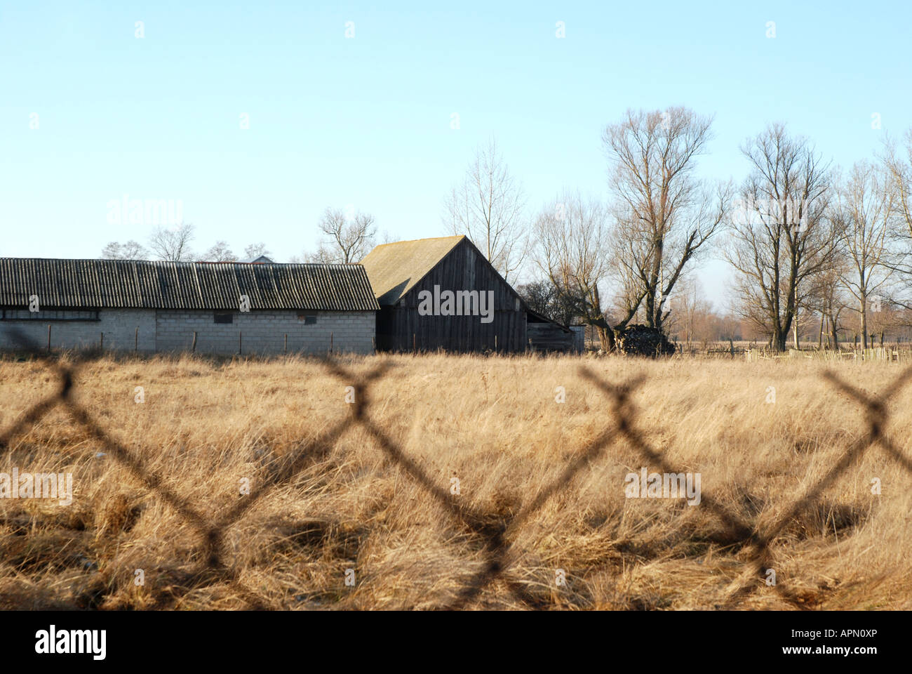 Barn and Polish countryside Stock Photo - Alamy
