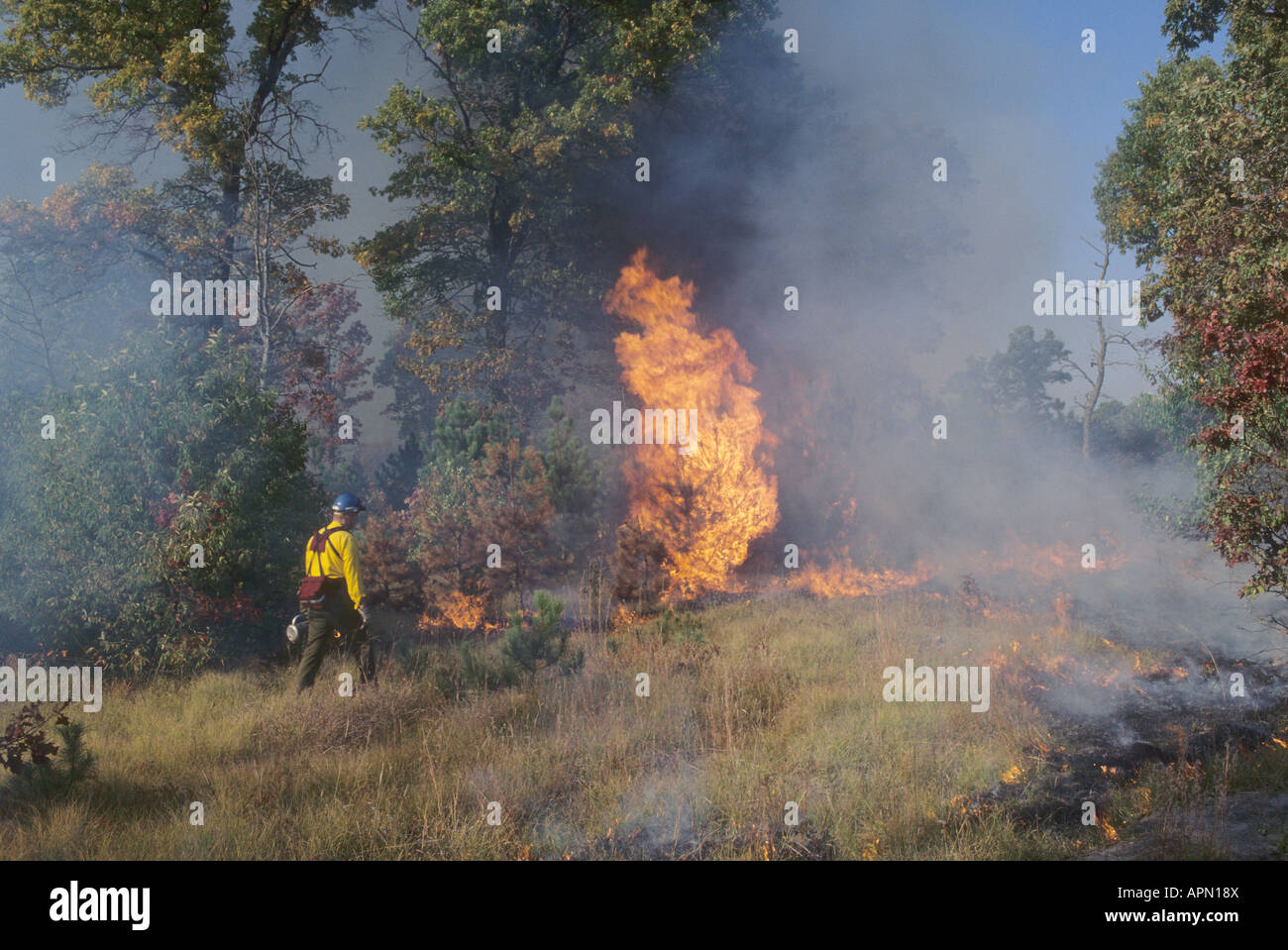 Forest Firefighter helps suppress fire Stock Photo - Alamy