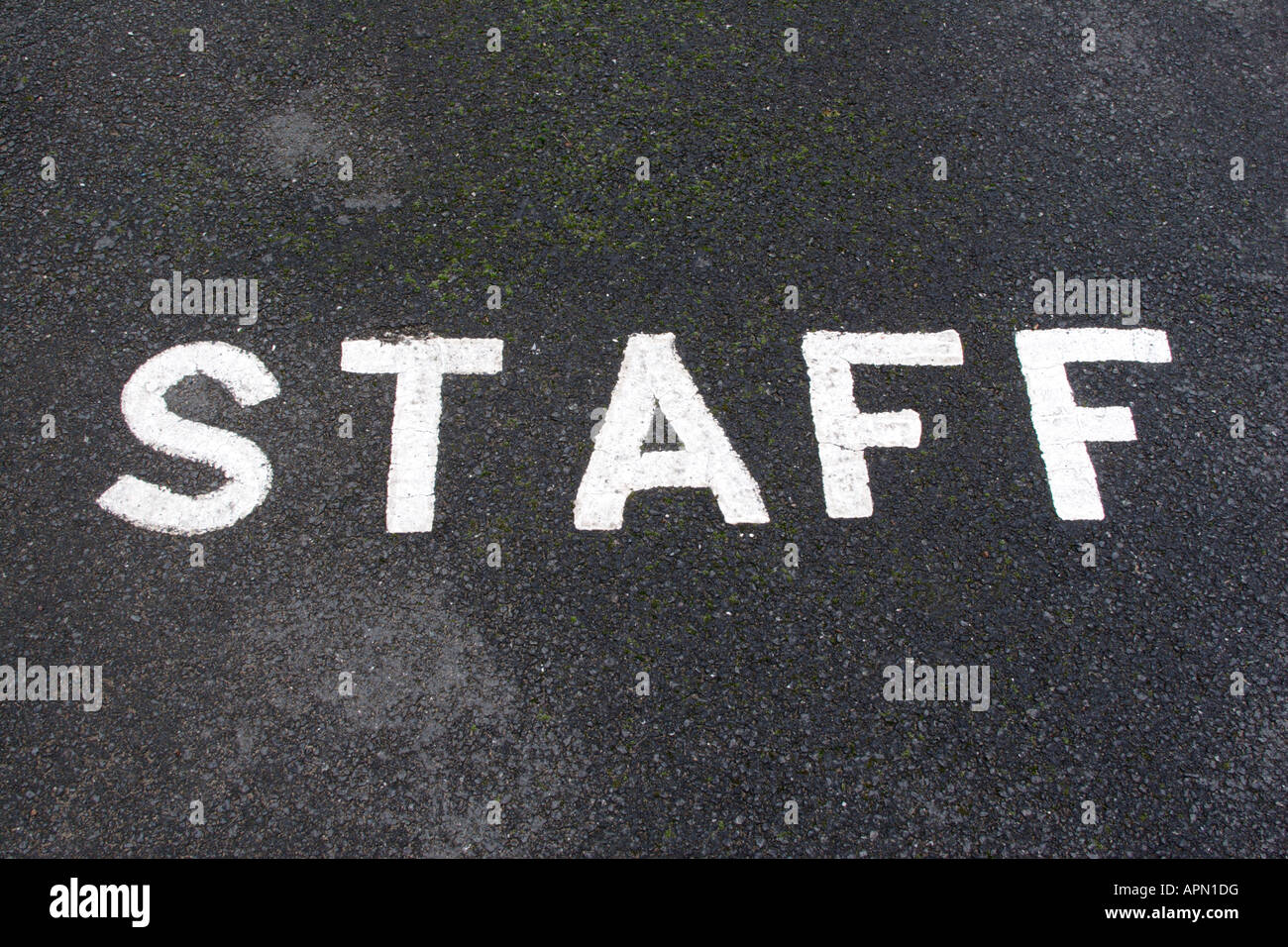 Staff sign on tarmac in car park Stock Photo - Alamy
